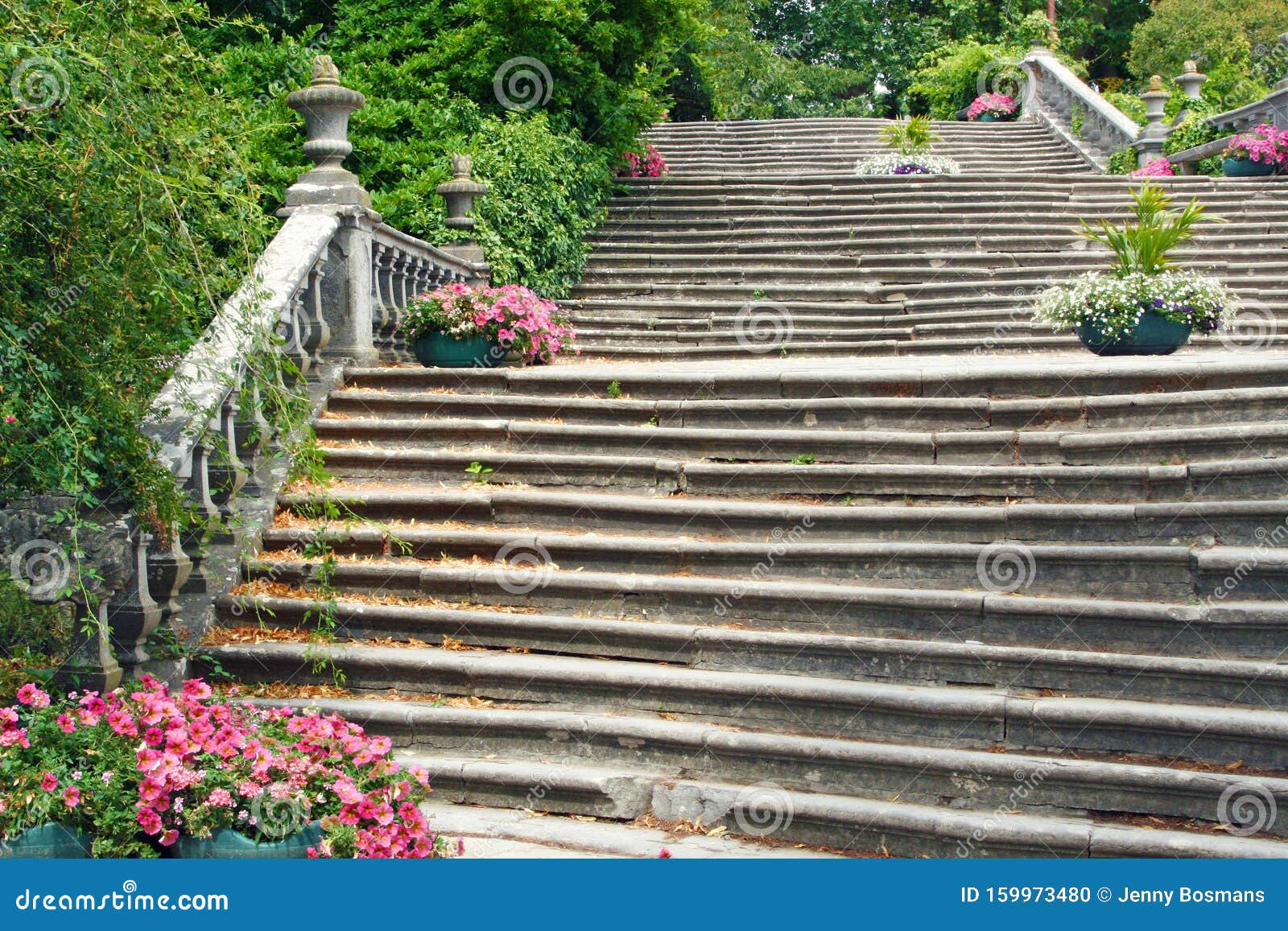 Large and High Stairway in a Park Stock Photo - Image of close, closeup ...
