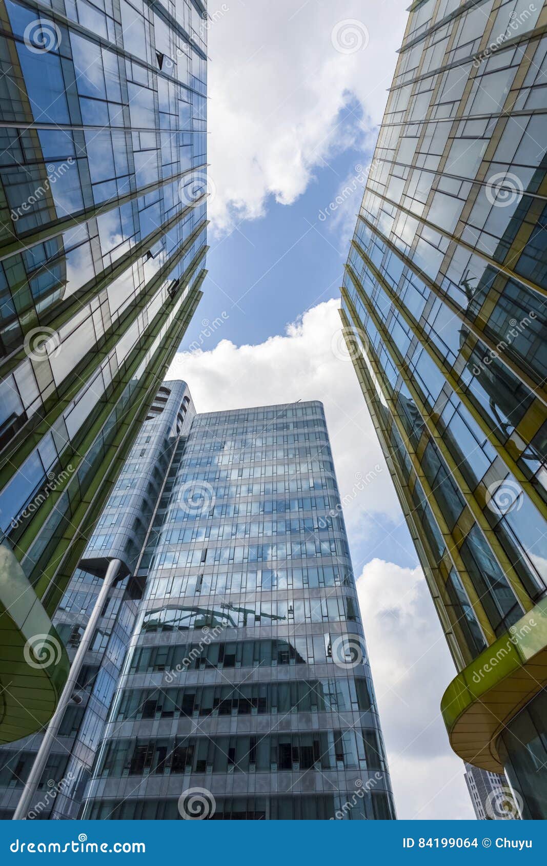 An Upward View Of Tree Canopy In The Tropical Forest, Sri Lanka, Exotic ...