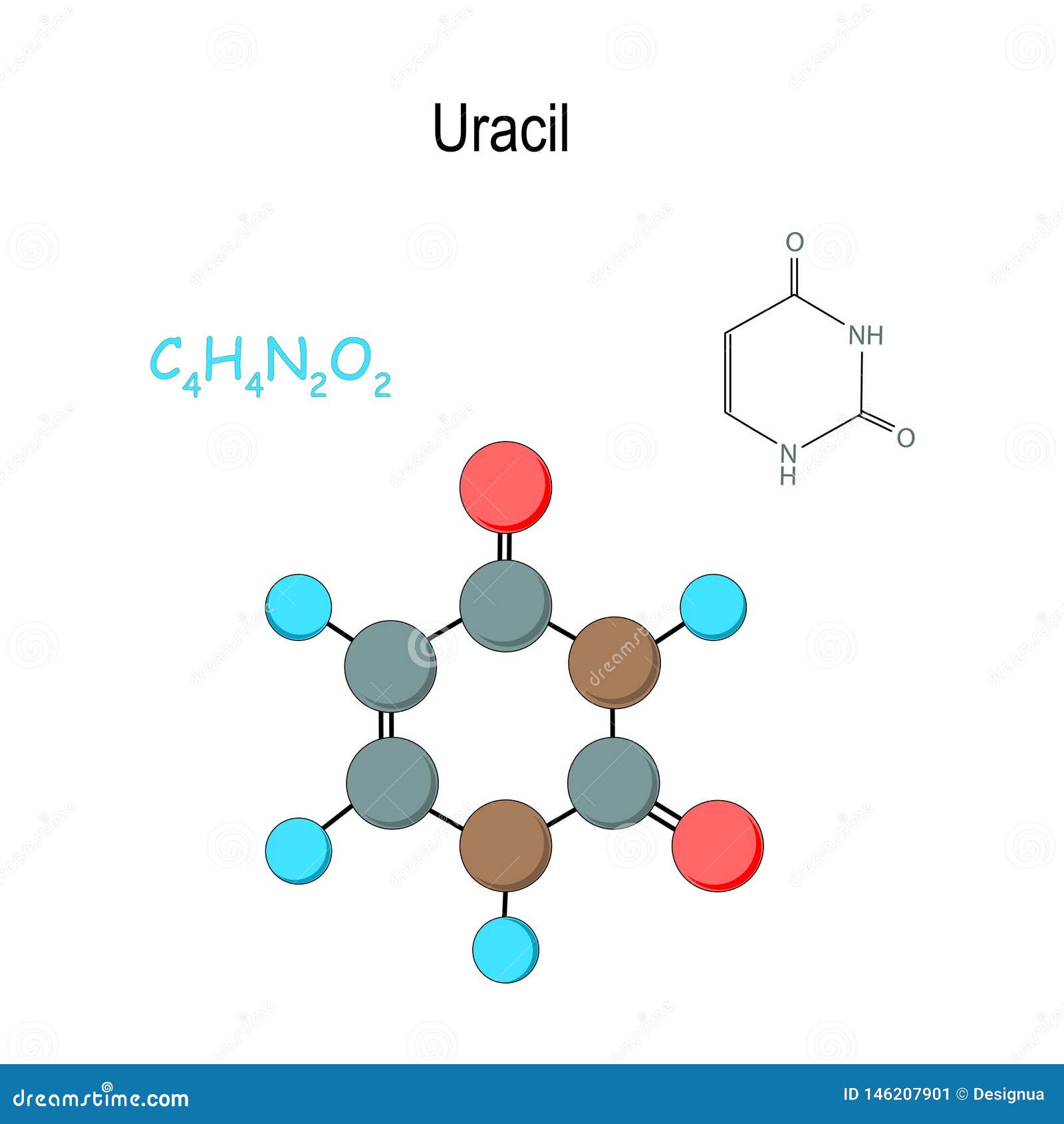 Uracil U Nucleobase Molecule. Present In Ribonucleic Acid RNA. Skeletal ...