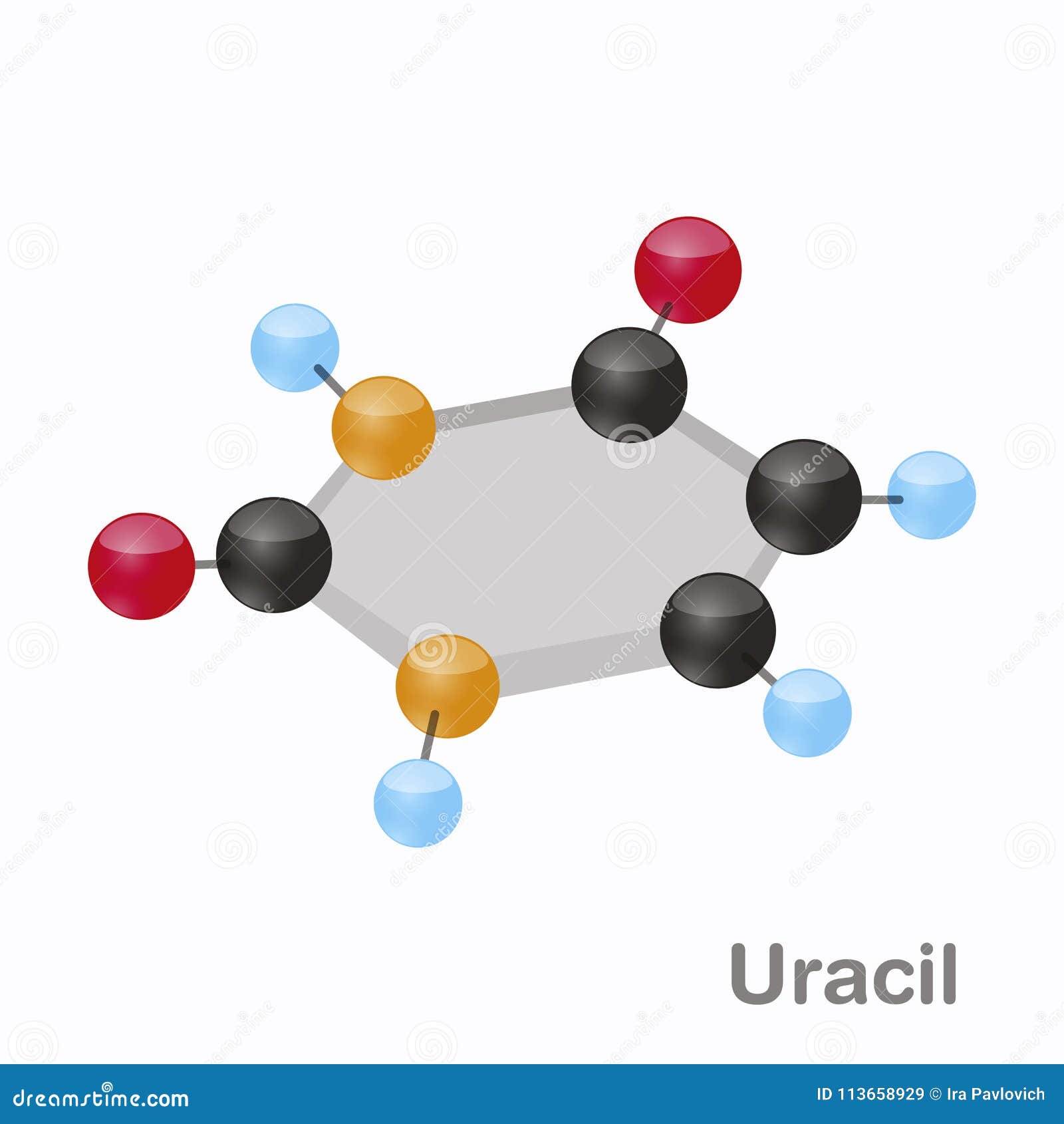 Uracil U Nucleobase Molecule. Present In Ribonucleic Acid RNA. Skeletal ...