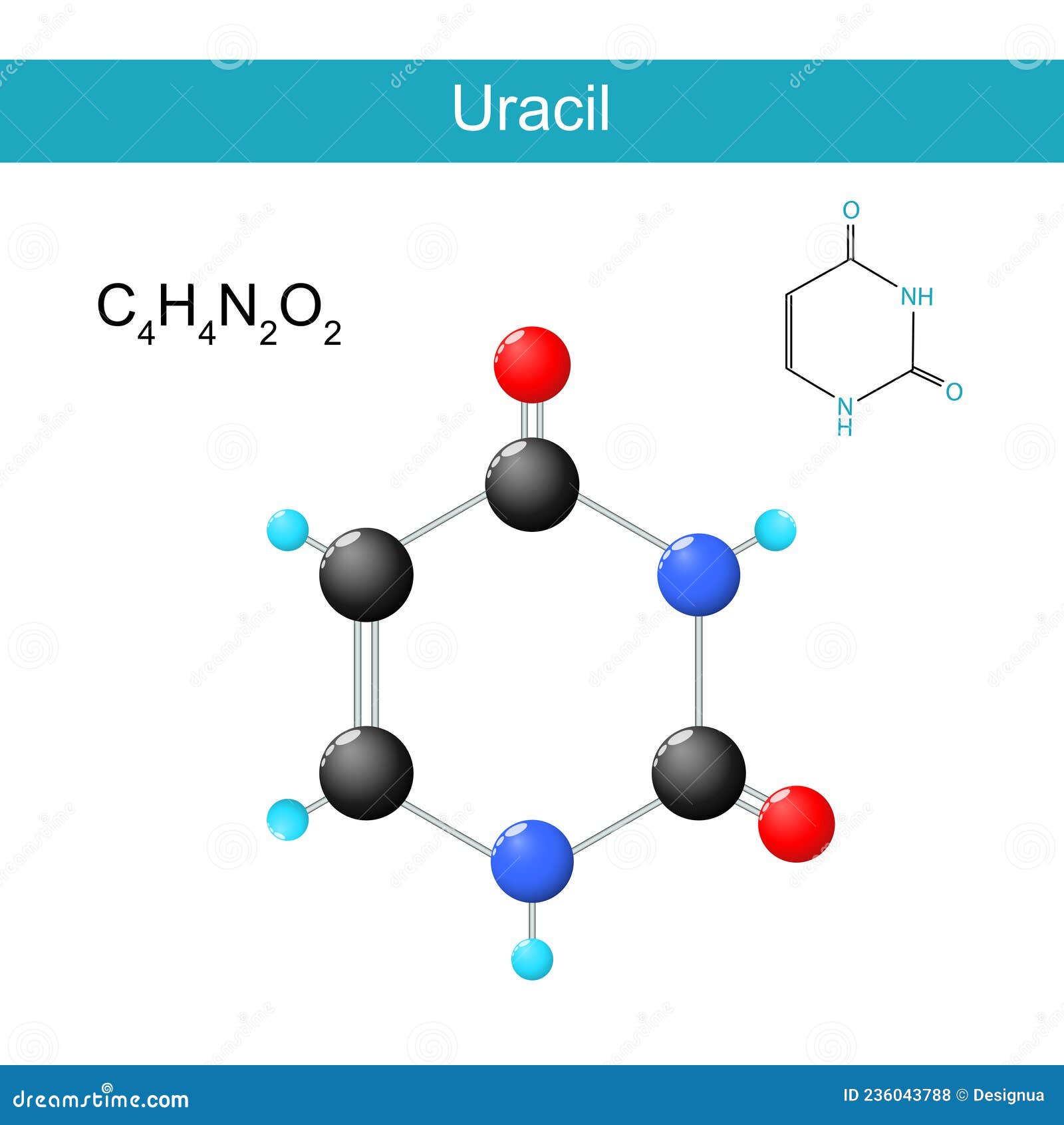 Uracil Molecular Formula. Chemical Structural Formula and Model Stock ...
