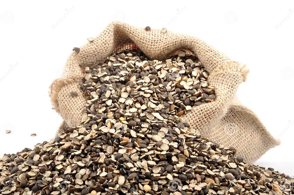 Urad dal stock image. Image of full, south, cook, healthy - 11025037