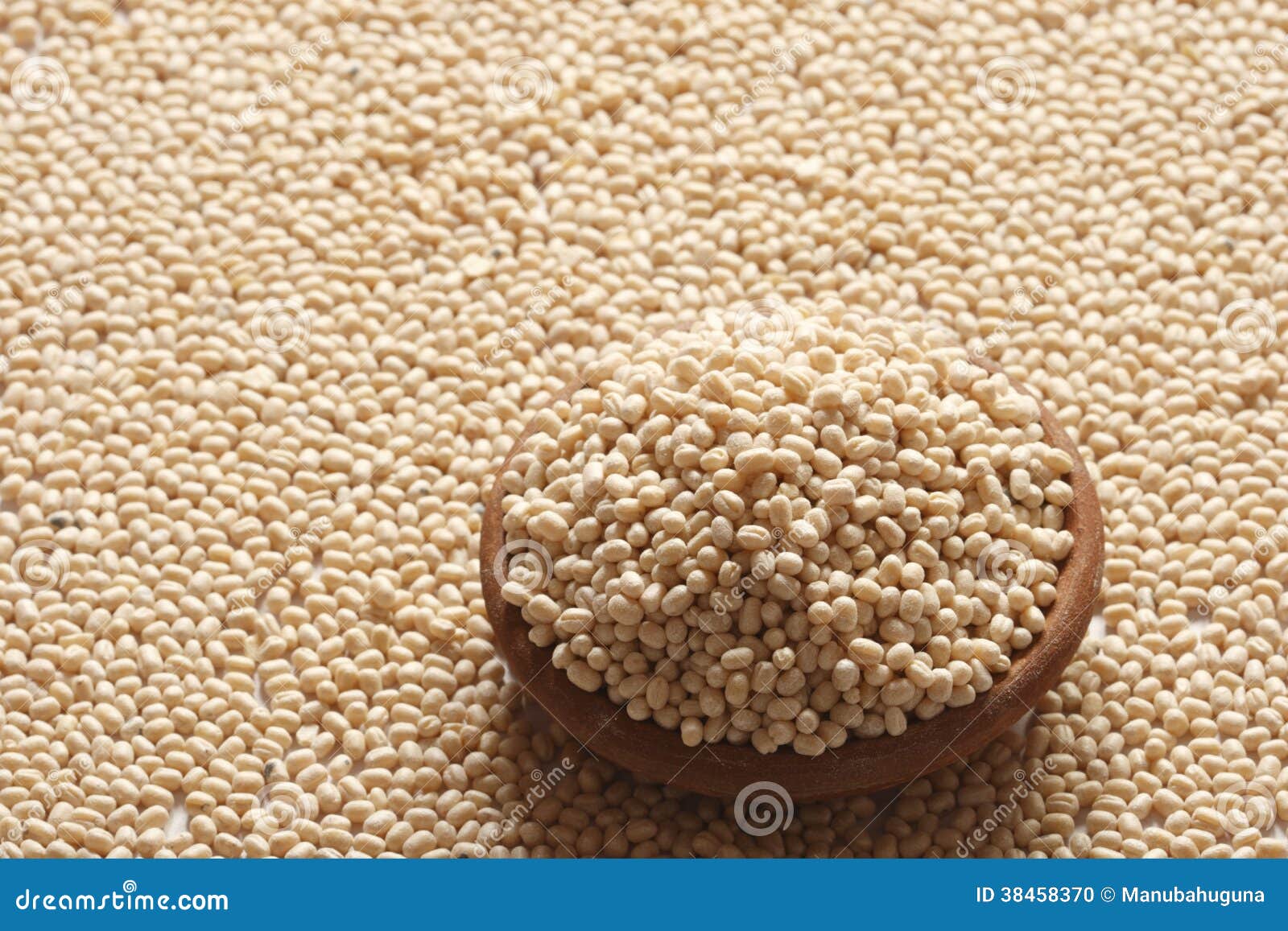 Urad Dal - a Lentil Commonly Used in Indian Recipes Stock Photo - Image ...