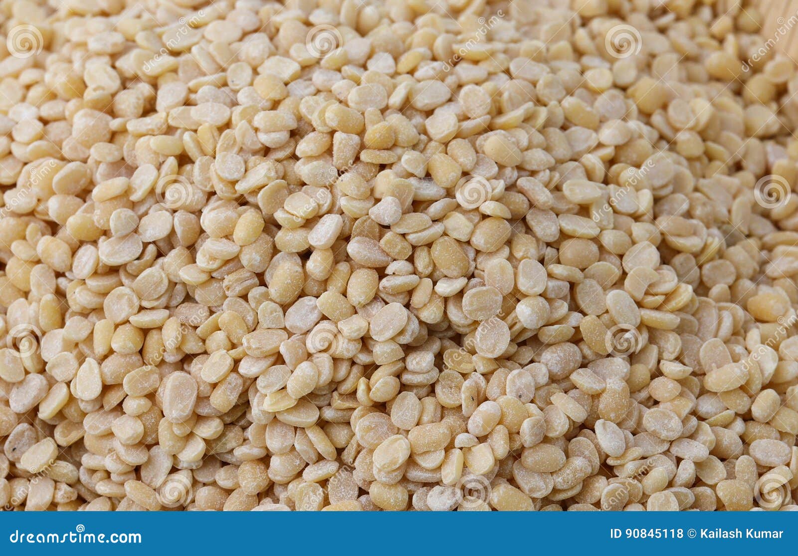 Urad Dal stock photo. Image of bean, food, protein, indian - 90845118