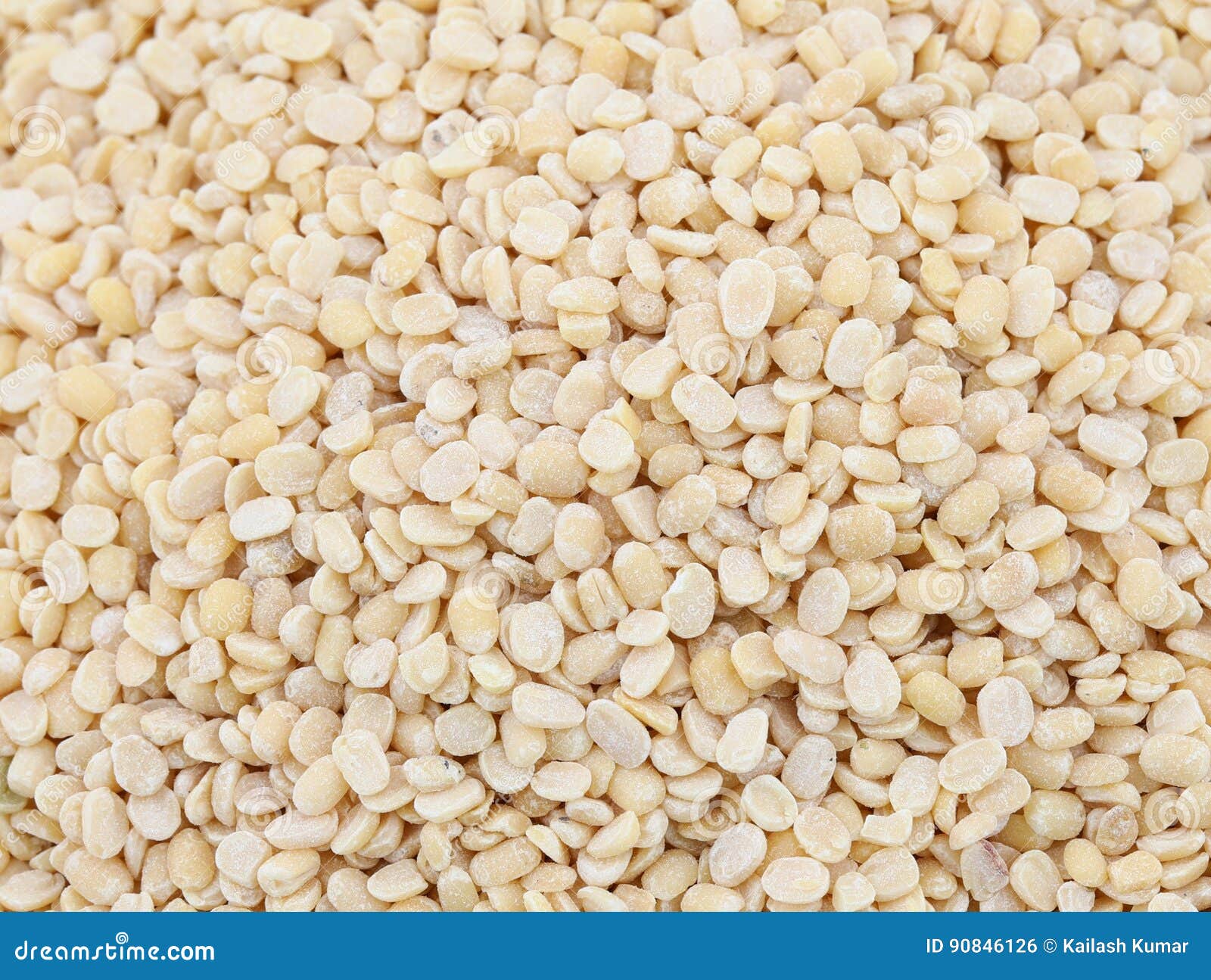 Urad Dal stock photo. Image of healthy, ingredient, india - 90846126