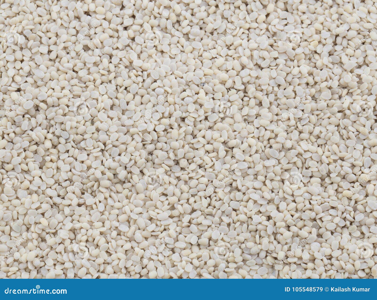 Urad Dal or Split Black Gram Stock Image - Image of indian, protein ...