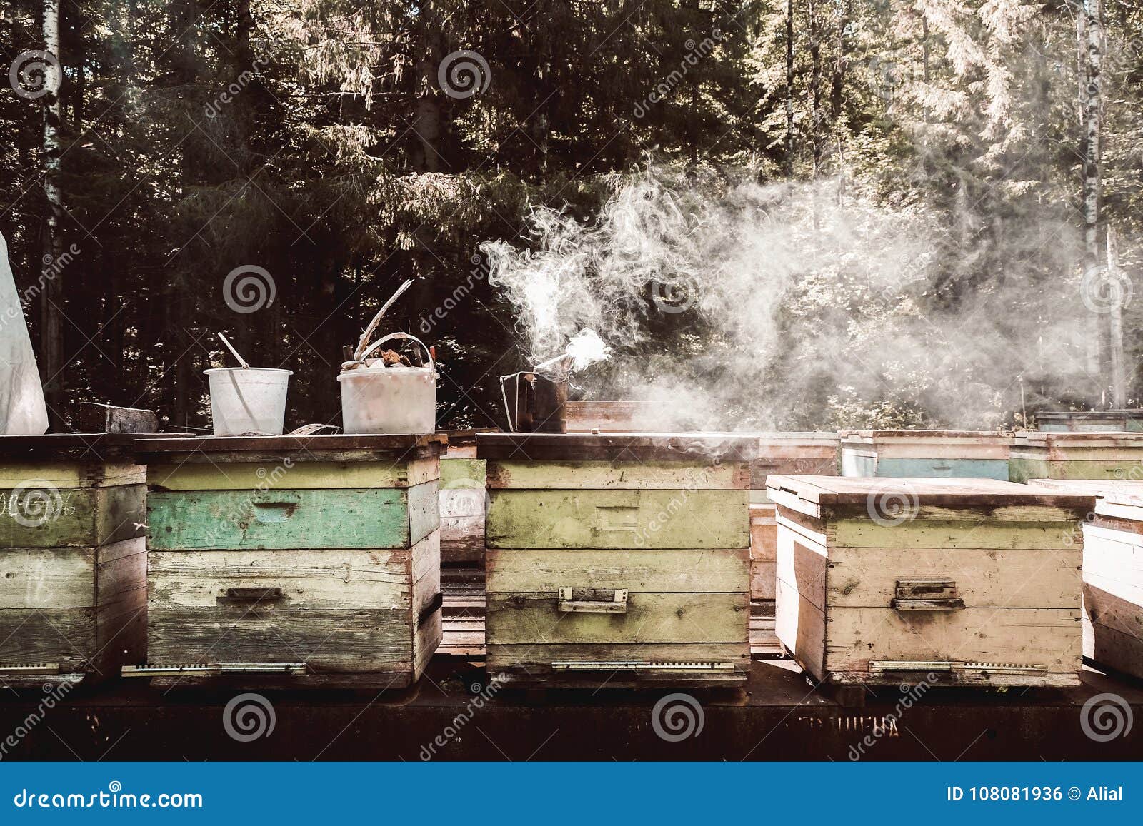 Ural Apiary in the Wild Forest. Stock Photo - Image of food, breeding ...