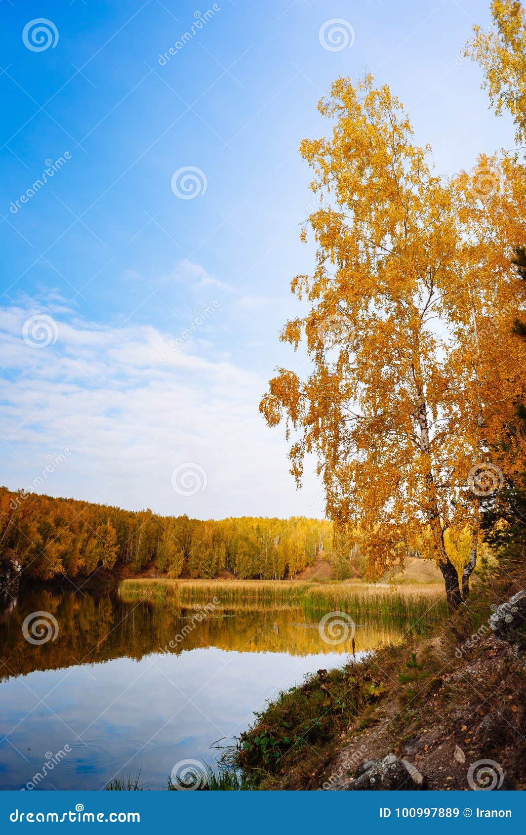 Edge stock image. Image of autumn, water, morning, river - 100997889