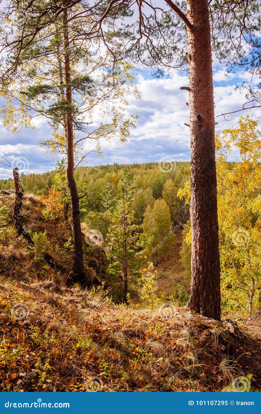 Ural autumn stock image. Image of ural, autumn, russian - 101107295