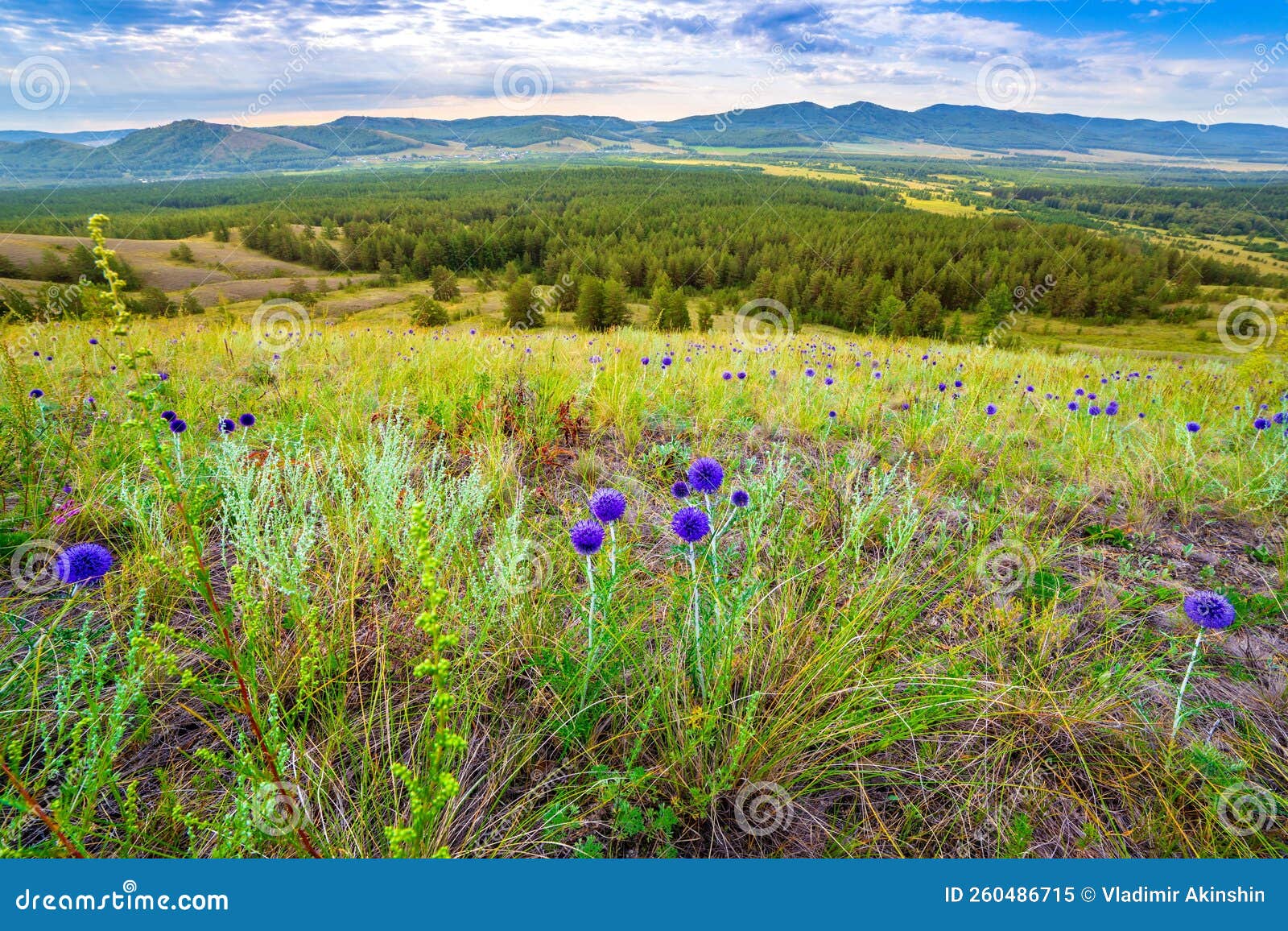 Ural Mountains in Summer. Sunset in the Mountains. the Top of the ...