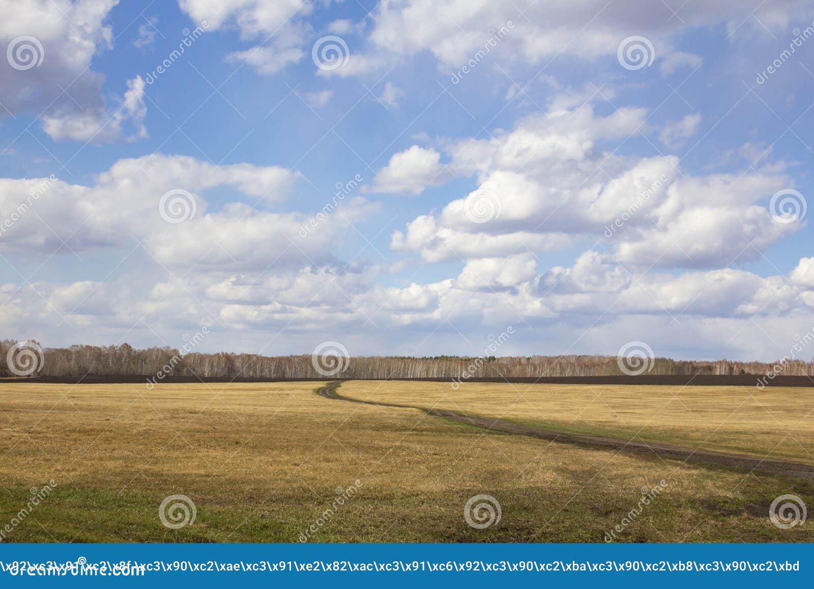 Ural spring landscape stock image. Image of rows, trees - 218491973