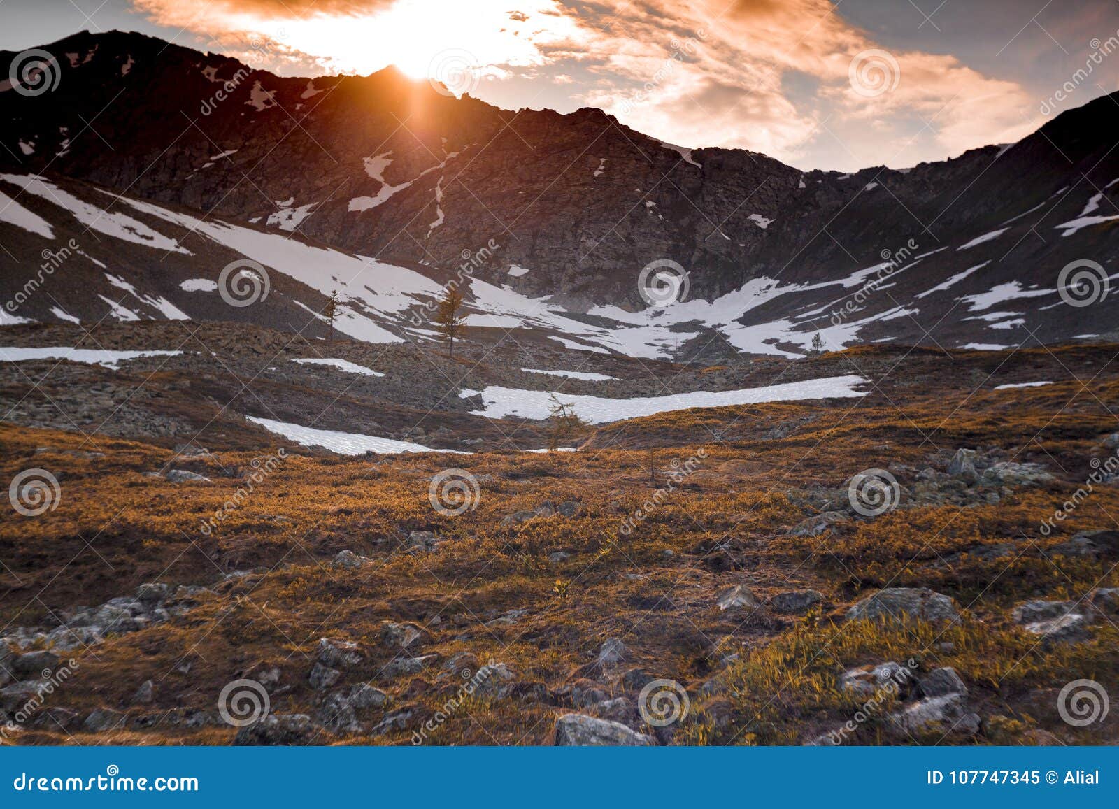 Royalty Free Images, Cartoons, Illustrations And Photos Designed By ...