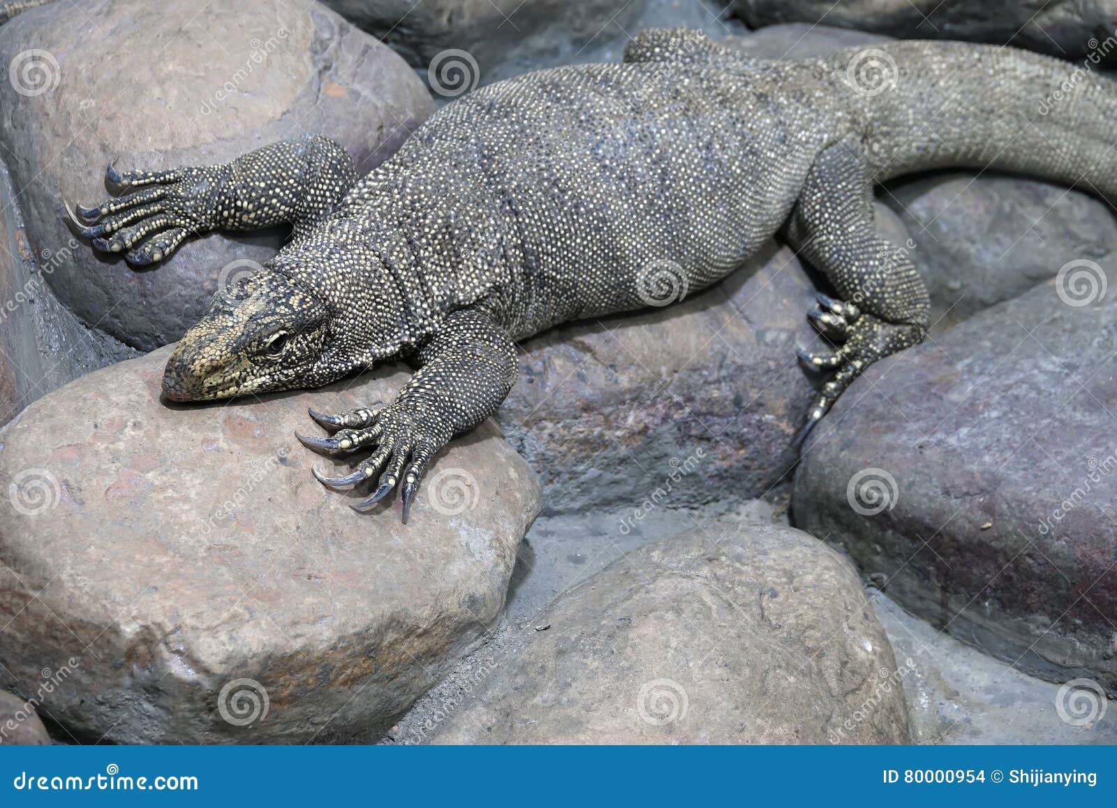 Uran Royalty-Free Stock Photo | CartoonDealer.com #80000169