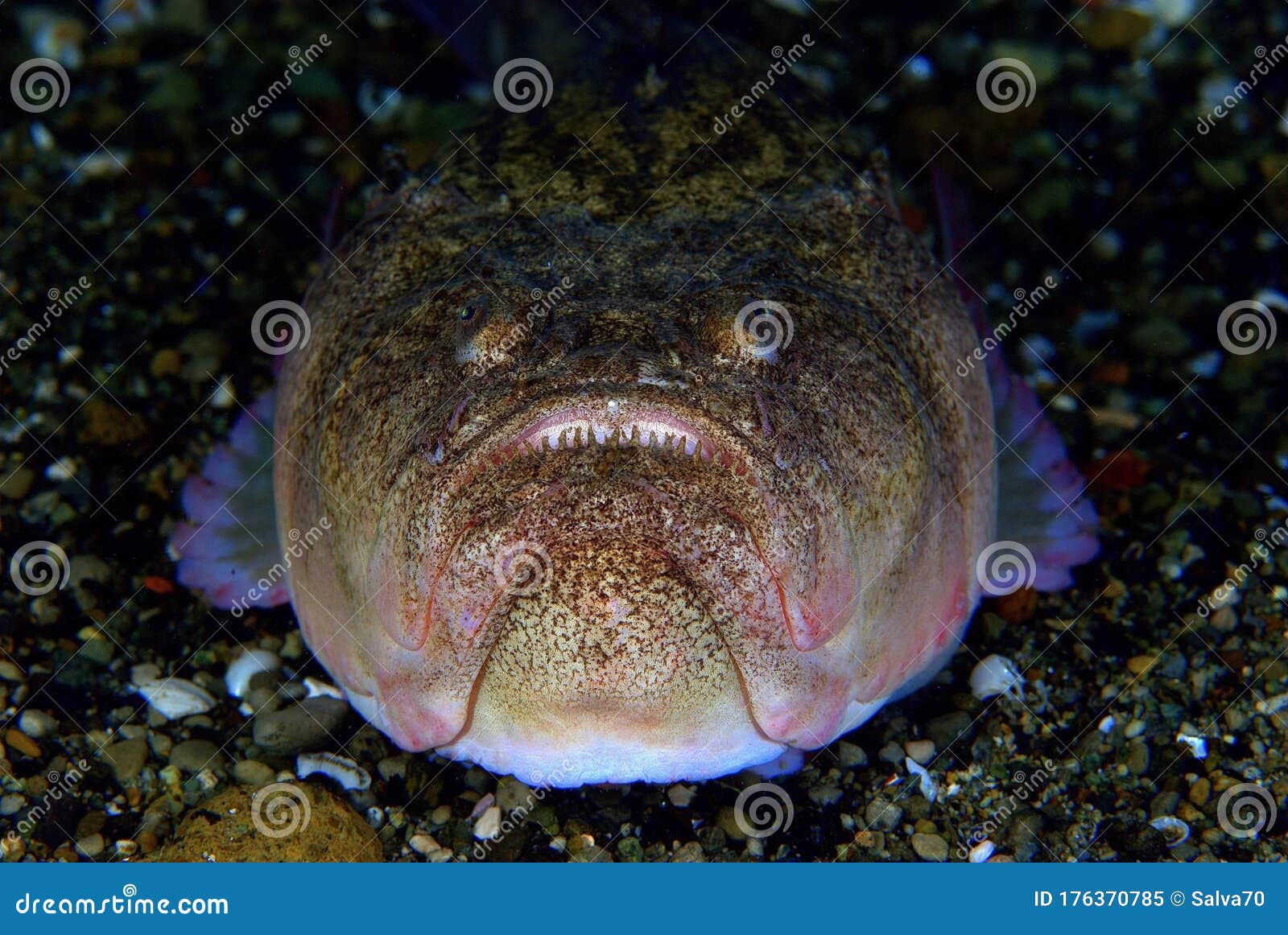 Uranus stock image. Image of abandoned, mediterranean - 176370785