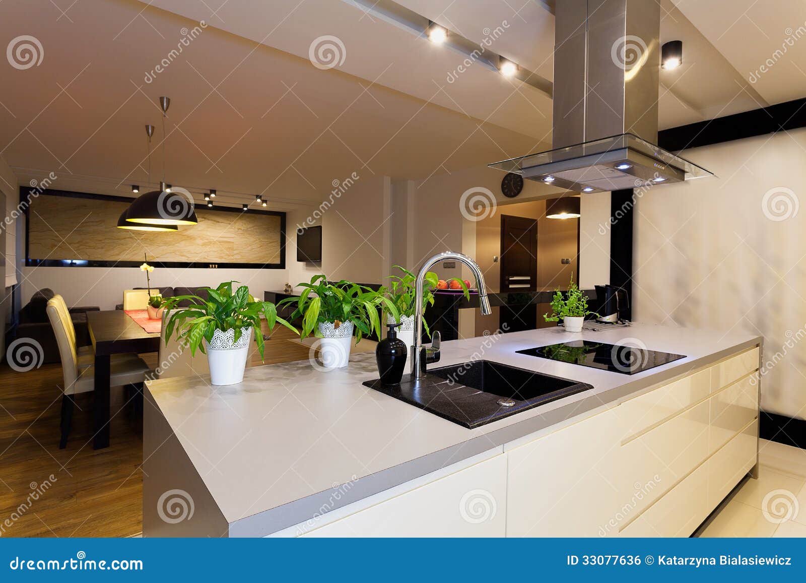 Urban Apartment - Kitchen Counter Stock Photo - Image of flat, cooker ...