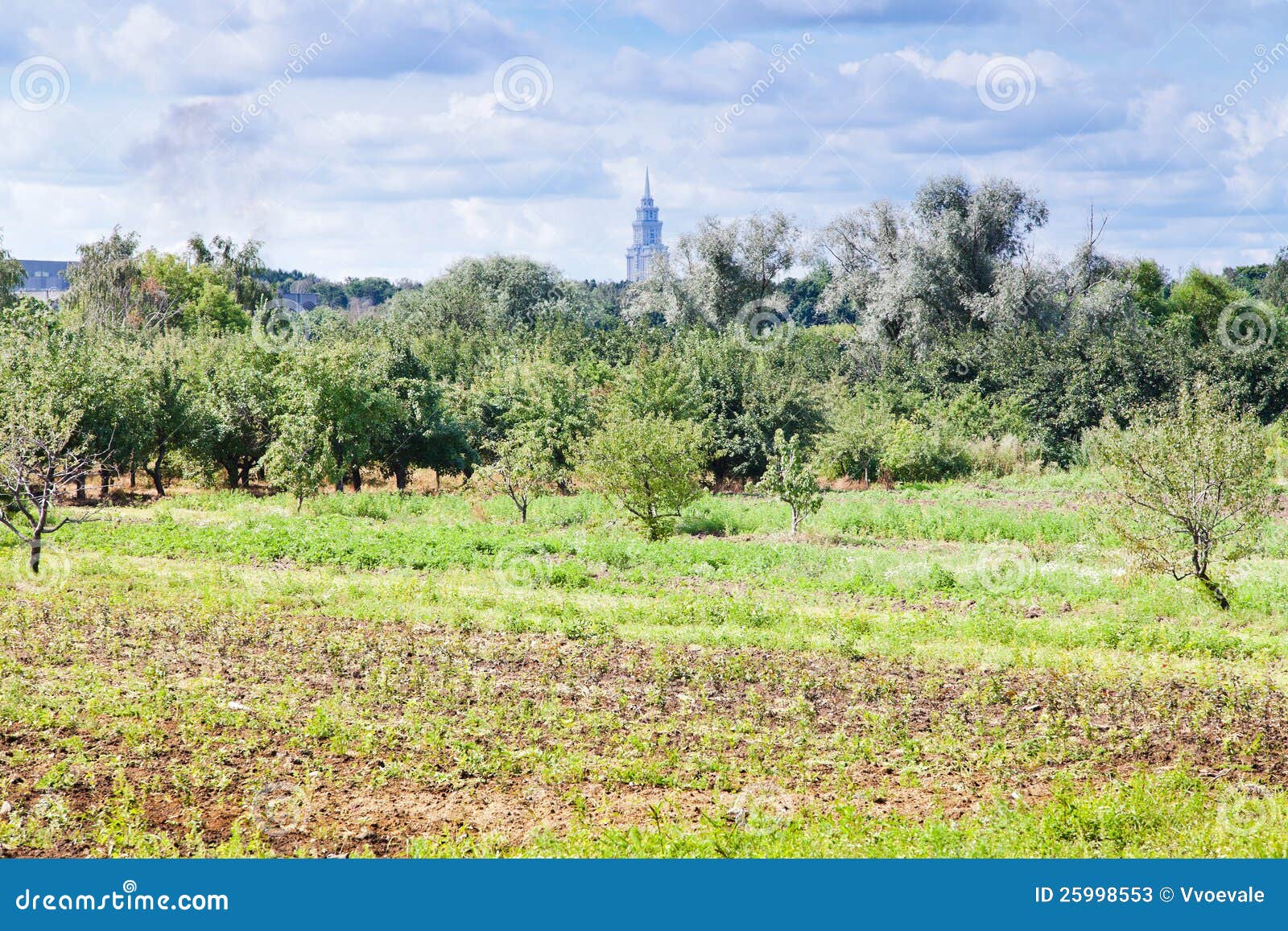 Urban apple tree orchard stock image. Image of agrarian - 25998553