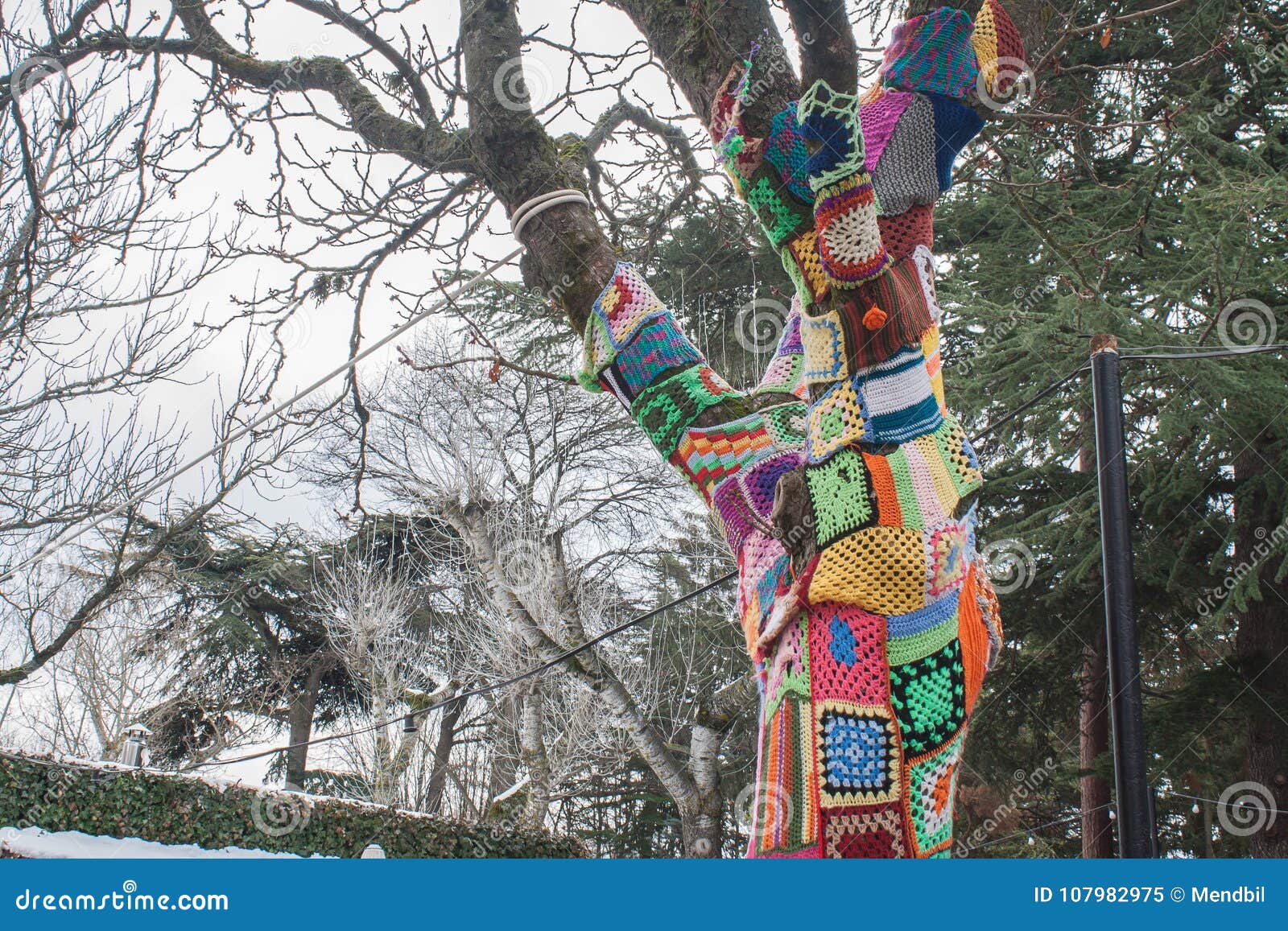 Urban Art on a Tree with Wool on the Streets Stock Image - Image of ...