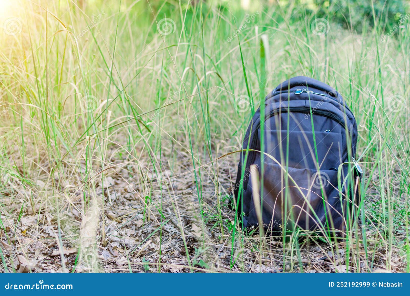 Urban Backpack on the Grass in Summer. Hiking, Outdoor Activities ...