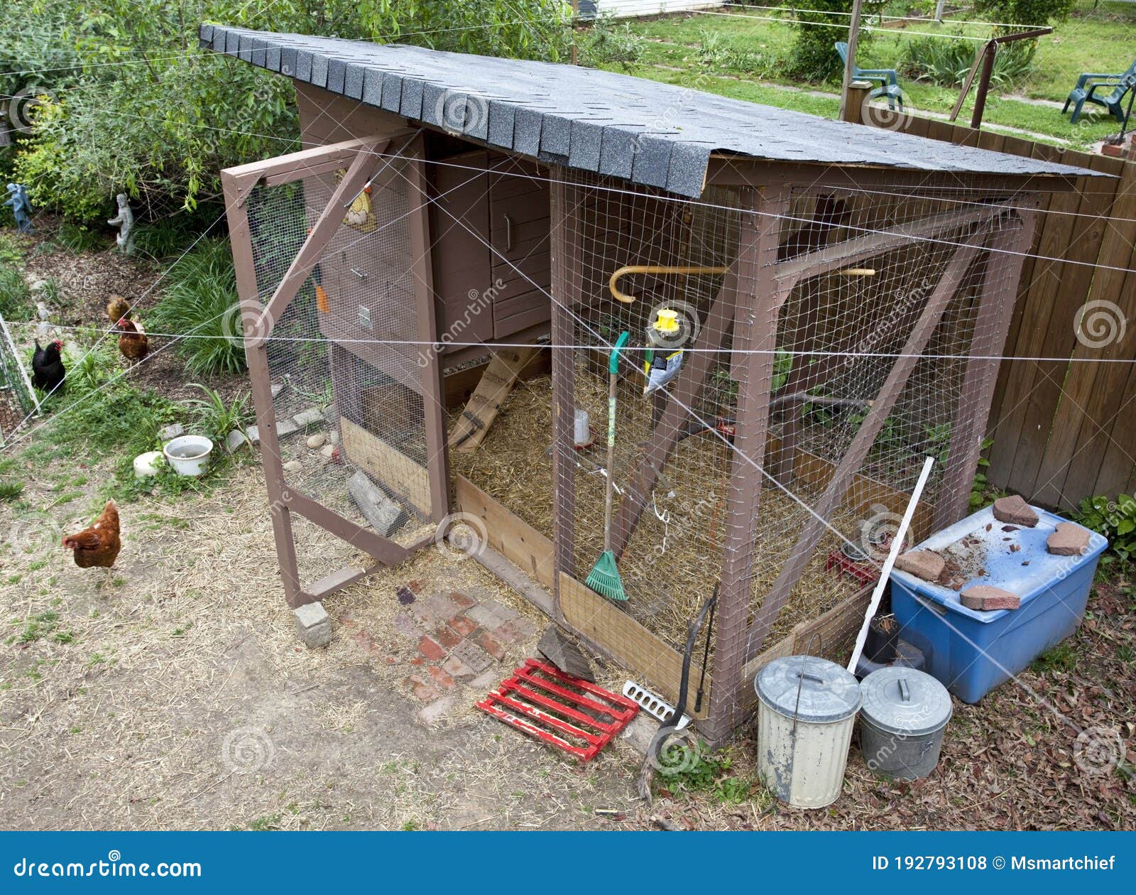 Urban Backyard Chicken Coop Stock Photo - Image of coop, chicken: 192793108