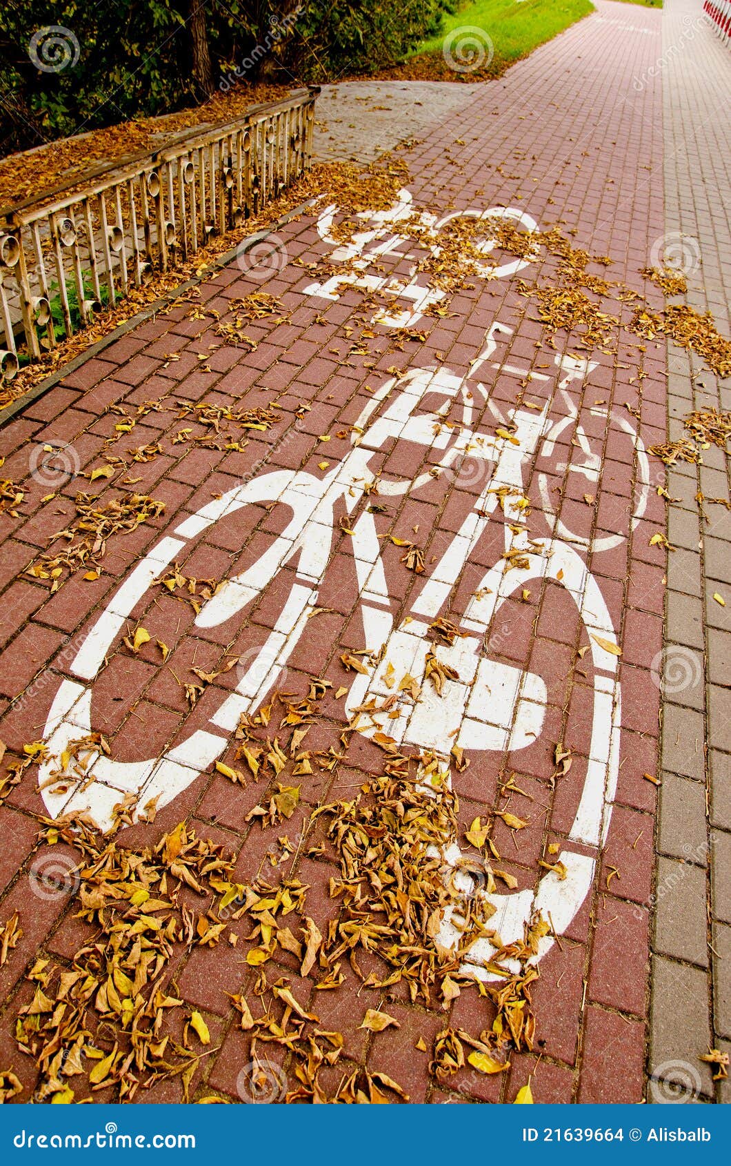 Urban Bicycle Track in Autumn Stock Photo - Image of cycle, beauty ...