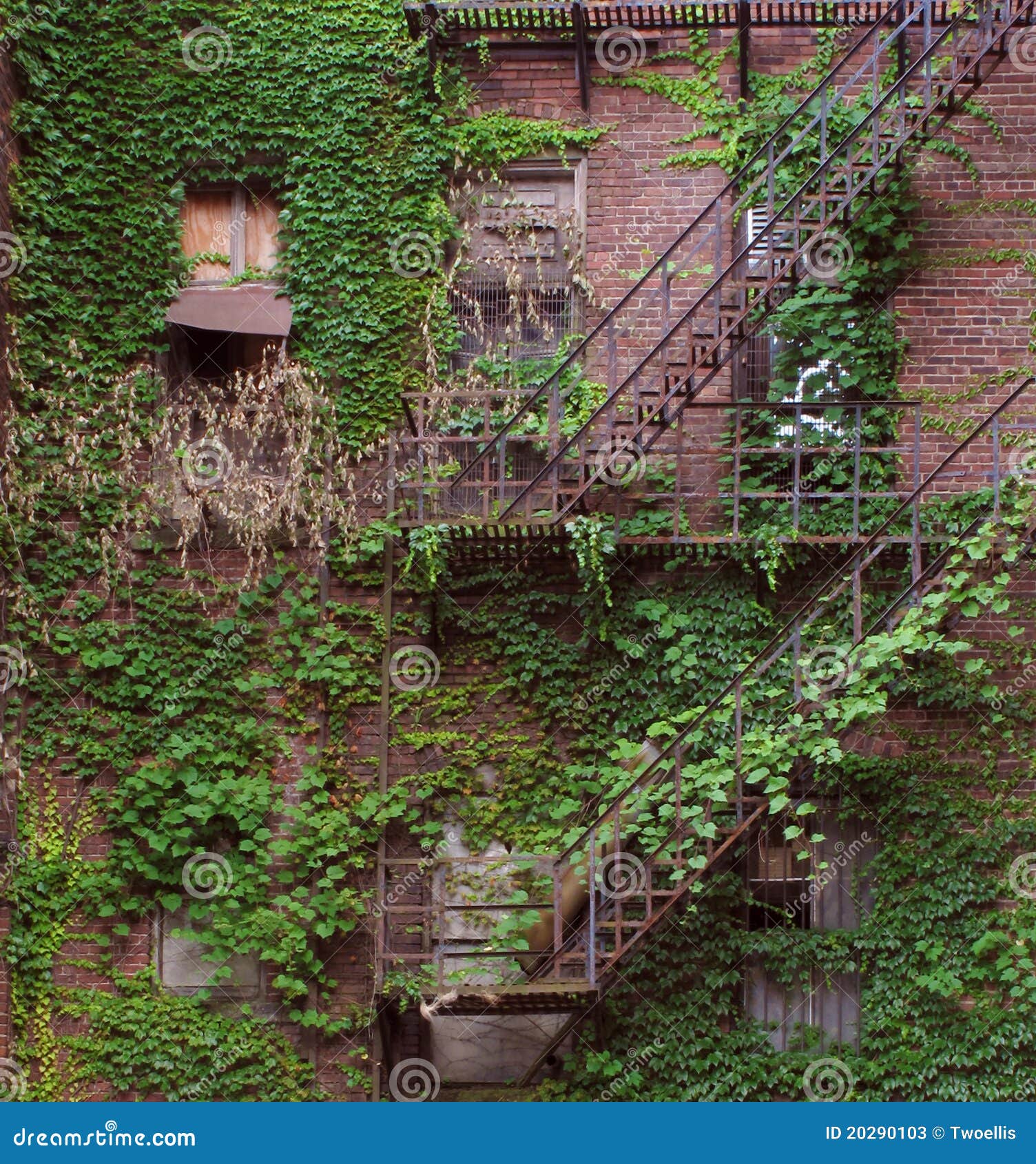 Urban blight stock image. Image of covered, city, window - 20290103