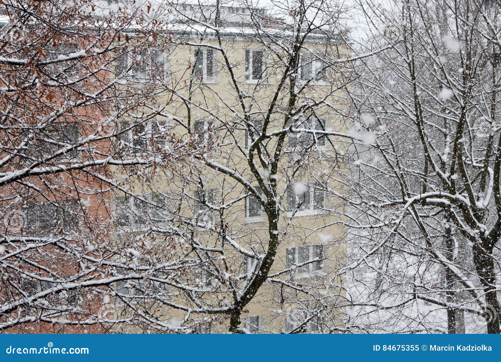 Urban City while Snow Flurry. Winter Background. Stock Image - Image of ...
