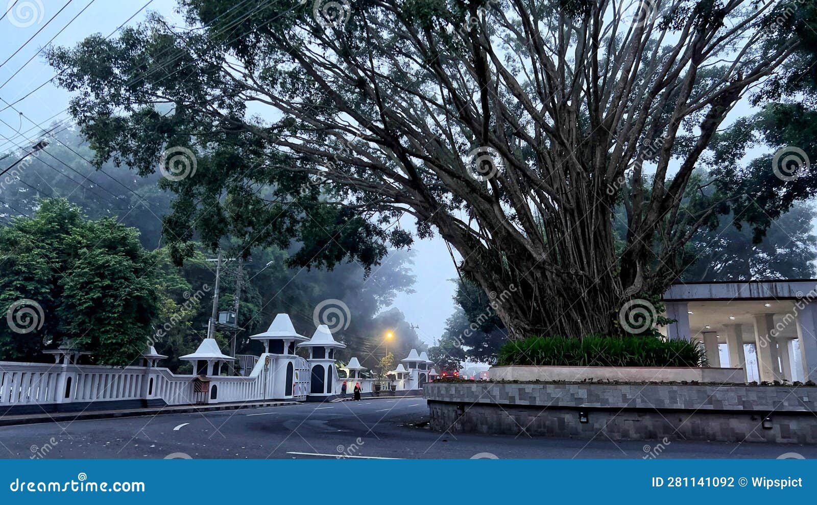 Urban Community Activities Under the Banyan Tree Stock Photo - Image of ...