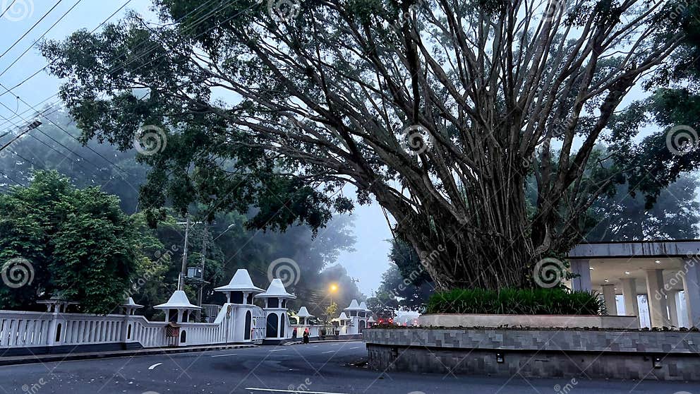 Urban Community Activities Under the Banyan Tree Stock Photo - Image of ...