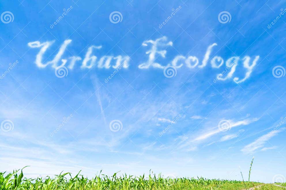Urban Ecology: the Study of Ecosystems in Urban Environments and Their ...
