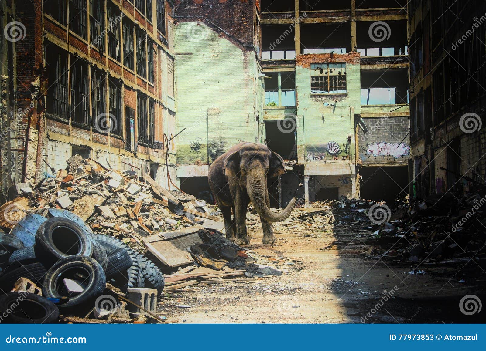 Urban Elephant stock image. Image of decay, city, animal - 77973853