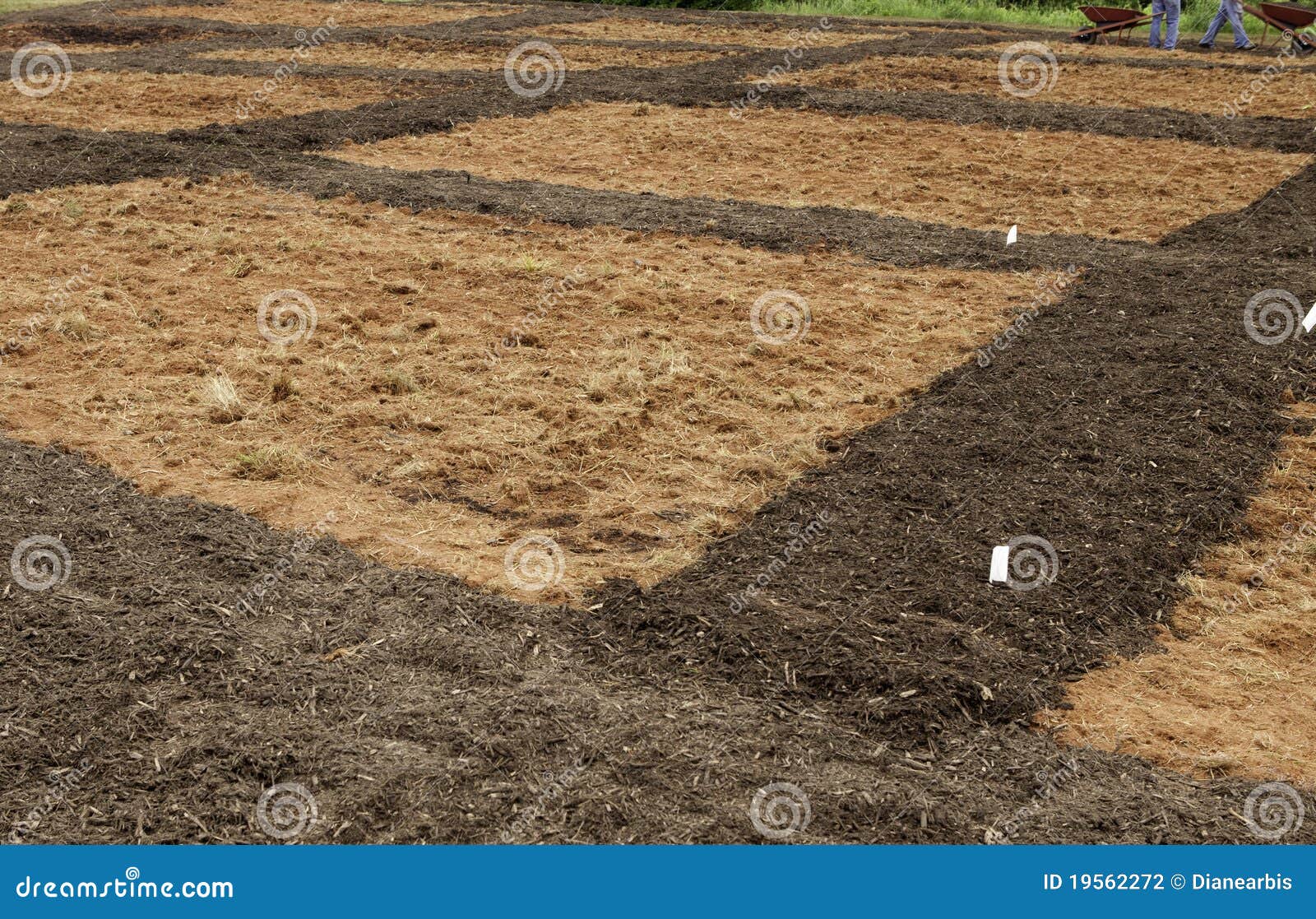 Urban Garden Plots stock photo. Image of earth, growth - 19562272