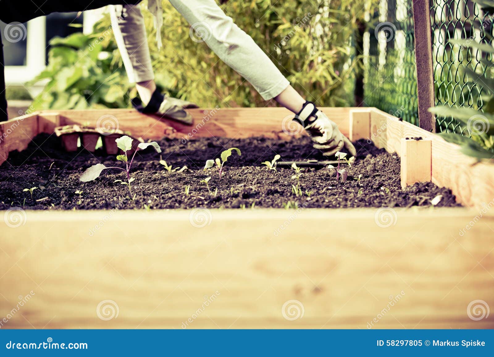 839 Cultivation Methods Stock Photos - Free & Royalty-Free Stock Photos ...