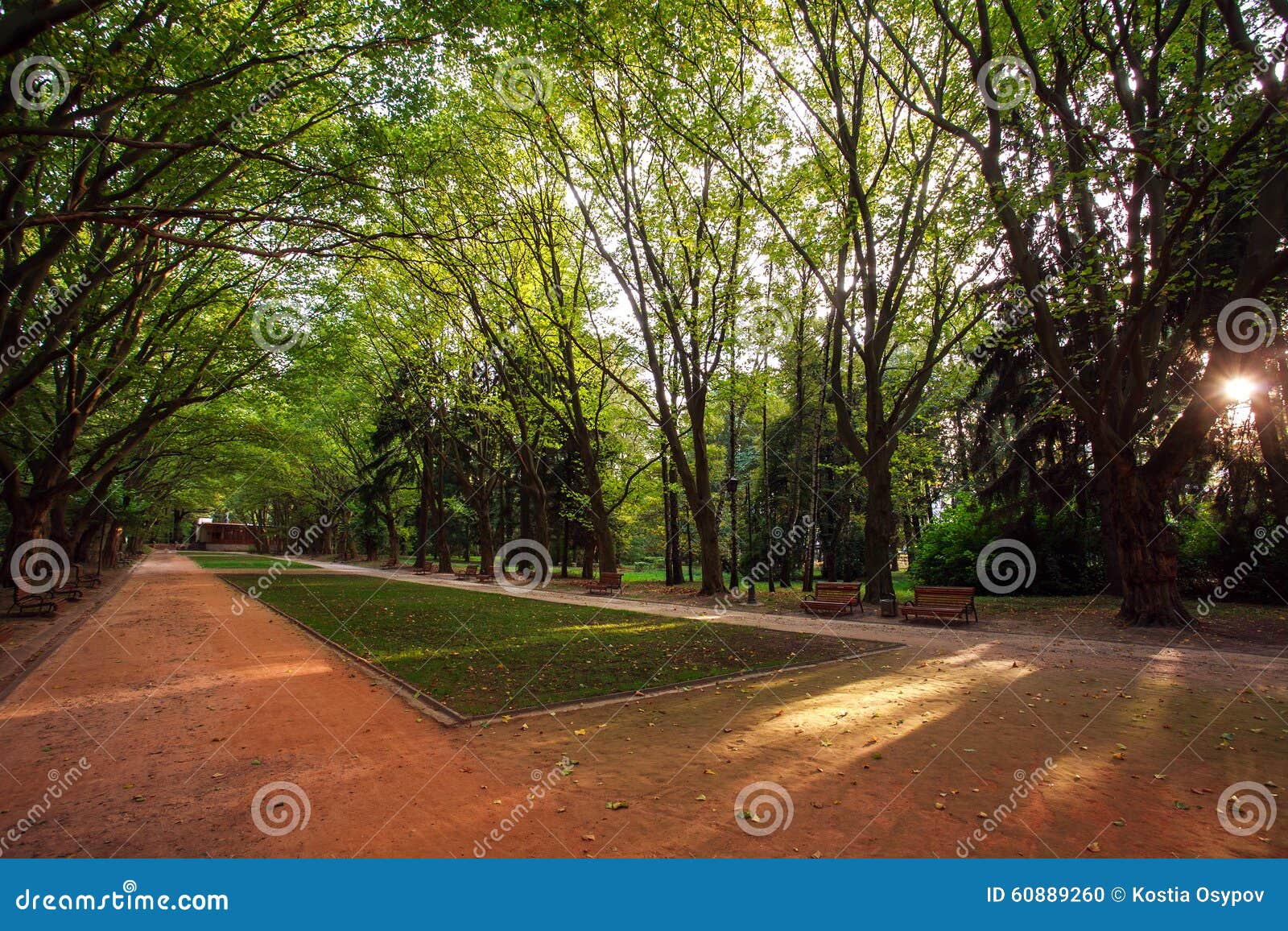 Urban Green Park with Walking Paths at Sunset Stock Photo - Image of ...