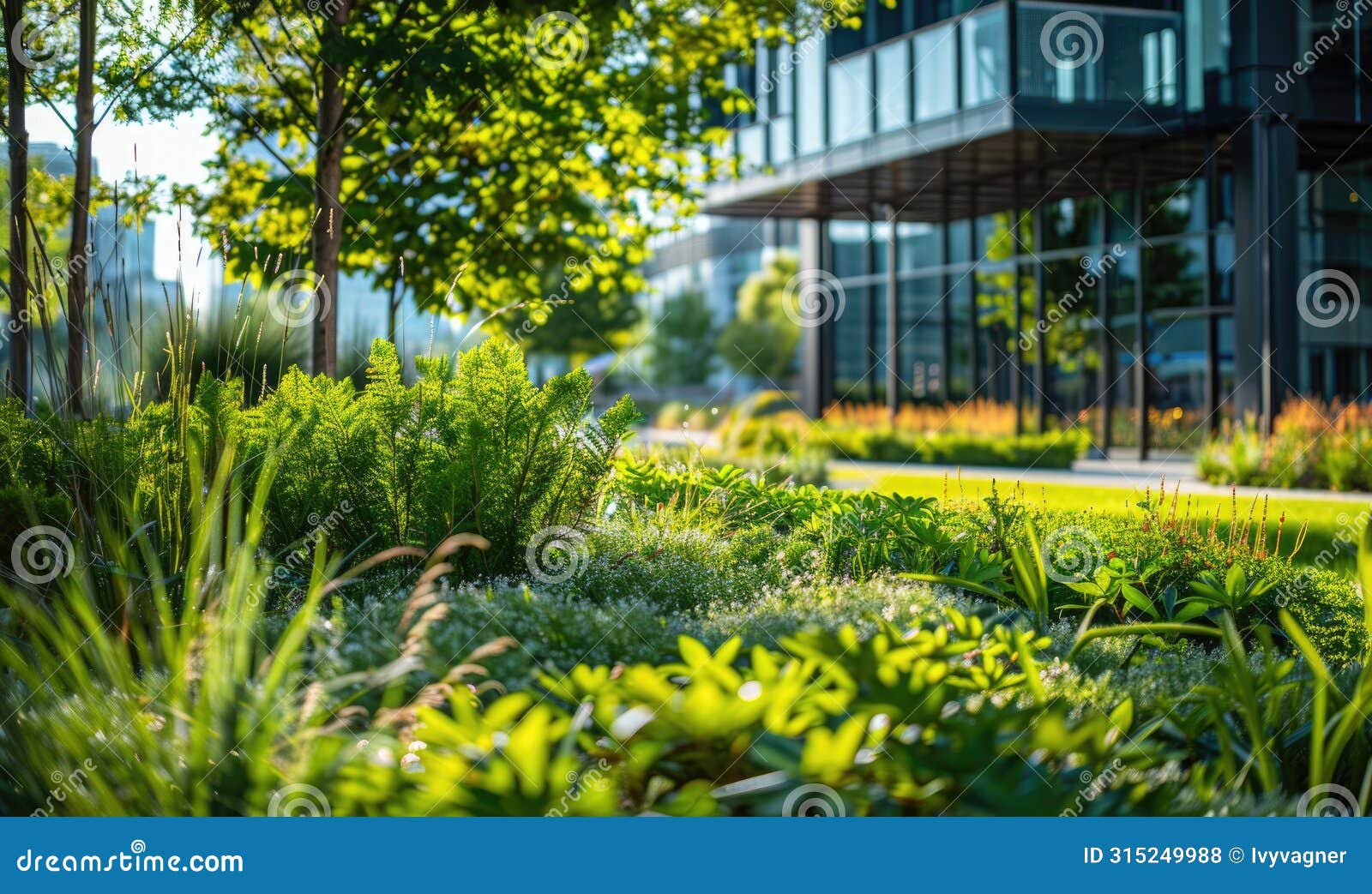 Urban Green Space Revitalization Stock Photo - Image of backyard, space ...