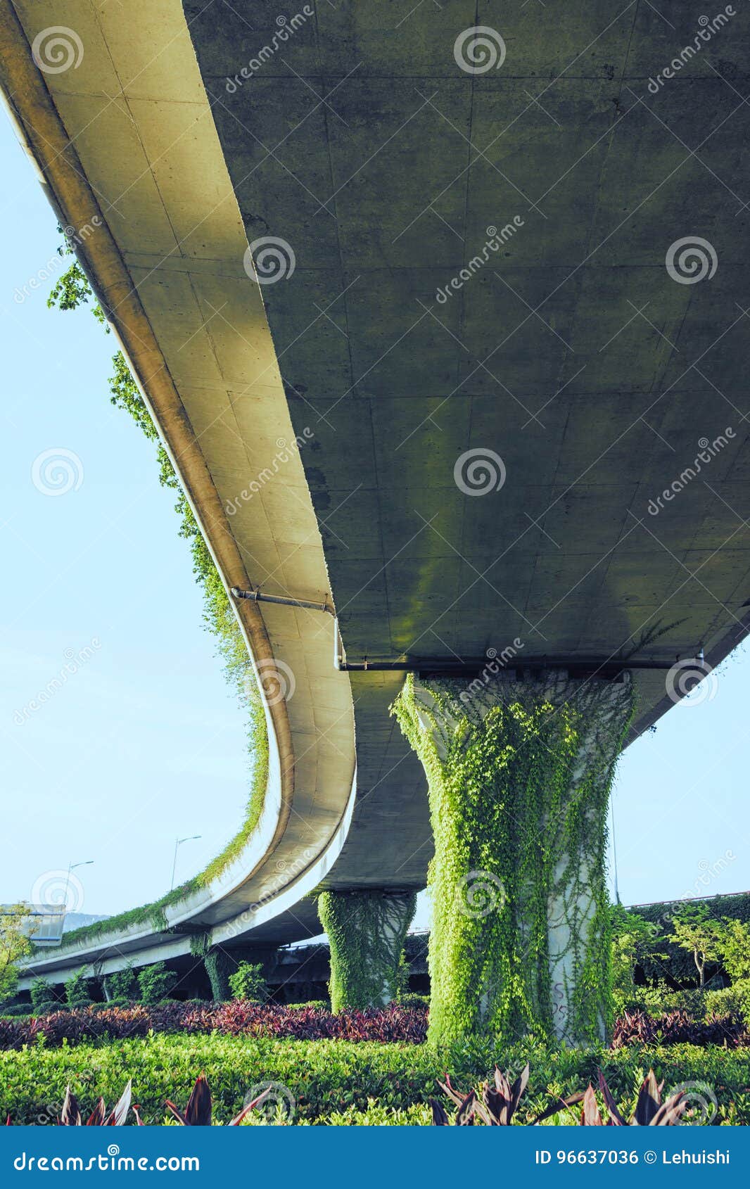 Urban Highway Overpass Covered with Plants Stock Photo - Image of city ...