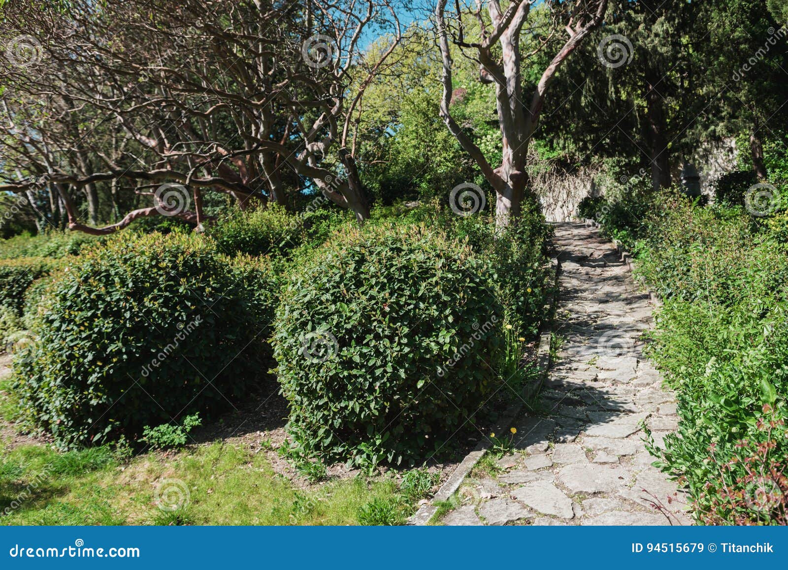 Urban landscape- pathway stock image. Image of plant - 94515679