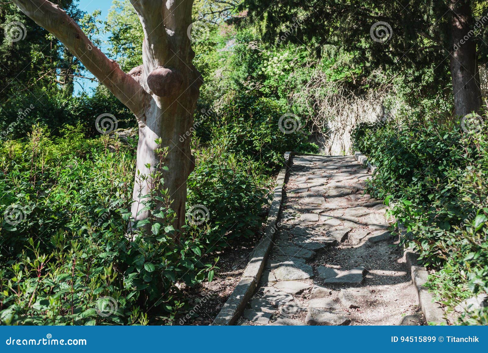 Urban landscape- pathway stock image. Image of lush, landscape - 94515899
