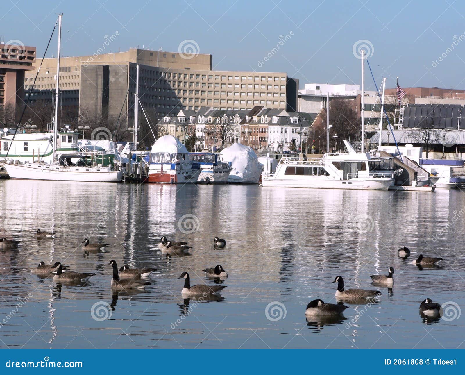 Urban Landscape - SW Waterfront in Washington, DC 2 Stock Photo - Image ...