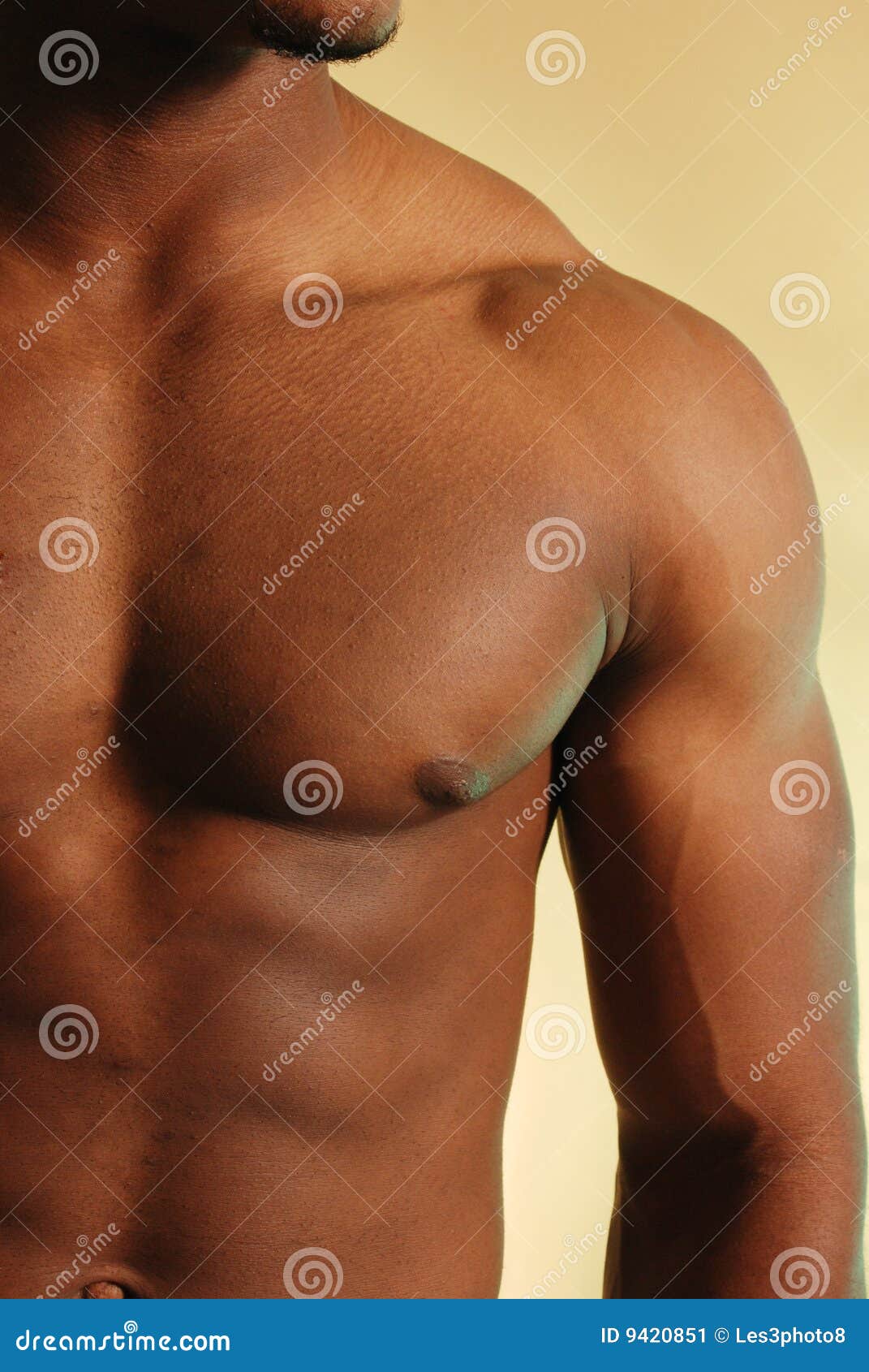 Urban male torso 3 stock image. Image of fitness, buff - 9420851