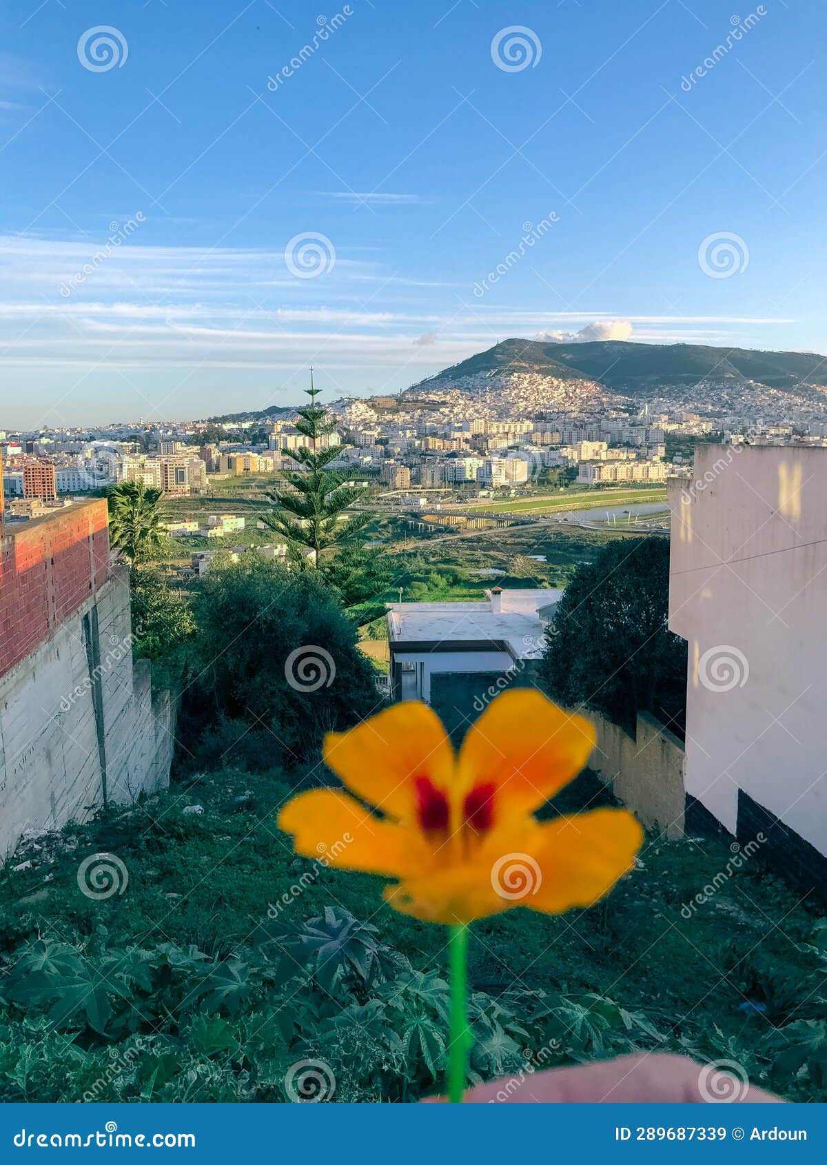 Urban Morning View of a Landscape is a Refreshing Experience Stock ...