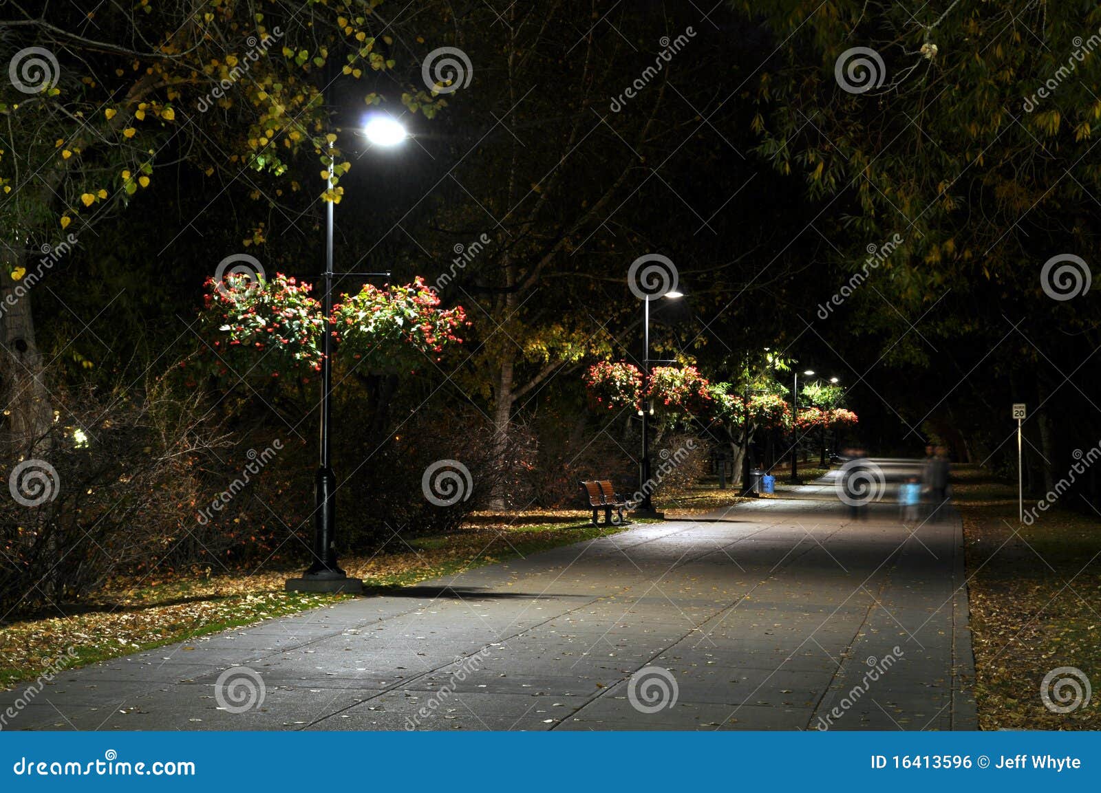 Urban Pathway At Night Royalty Free Stock Image - Image: 16413596