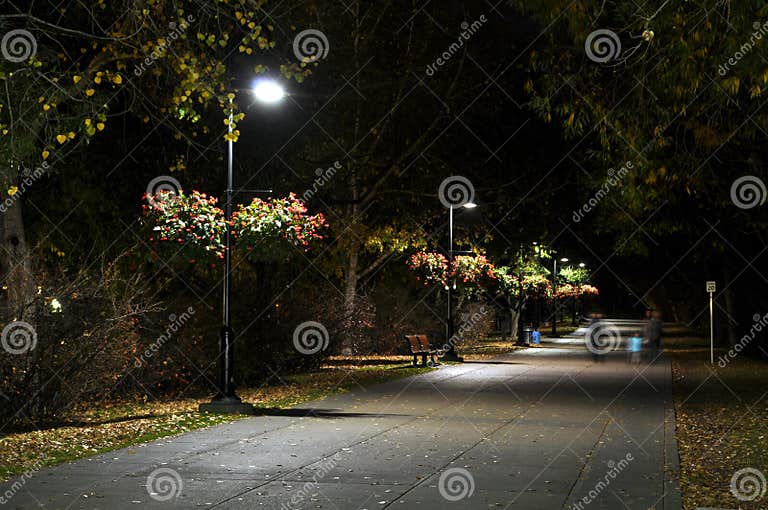 Urban pathway at night stock photo. Image of architecture - 16413596