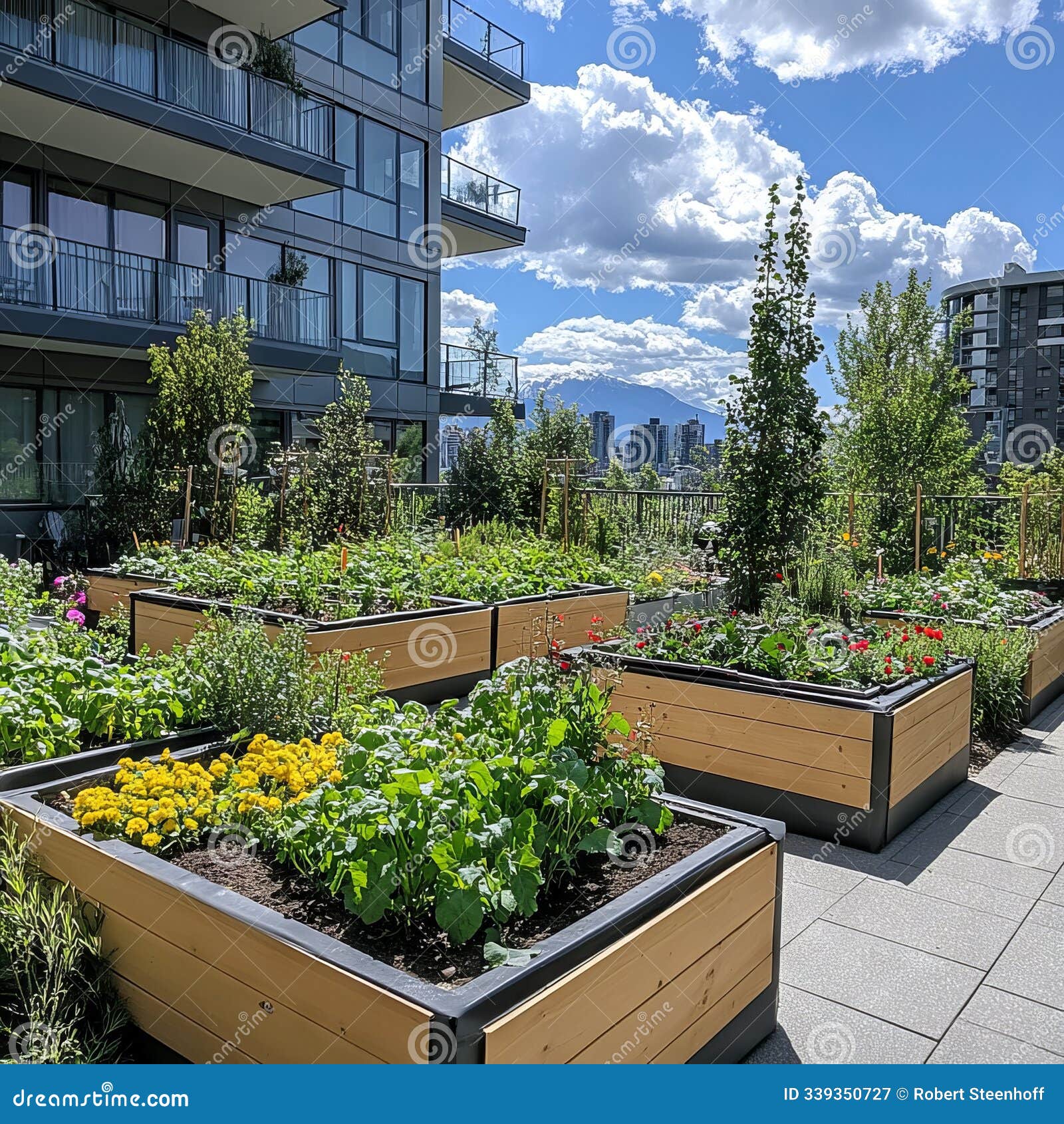 Urban Rooftop Garden with Raised Beds Stock Illustration - Illustration ...