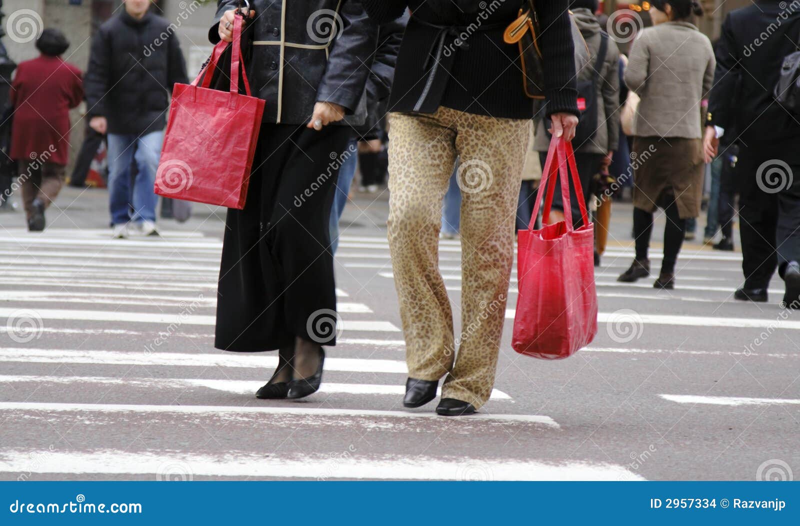 Urban shoppers stock photo. Image of retail, mall, person - 2957334