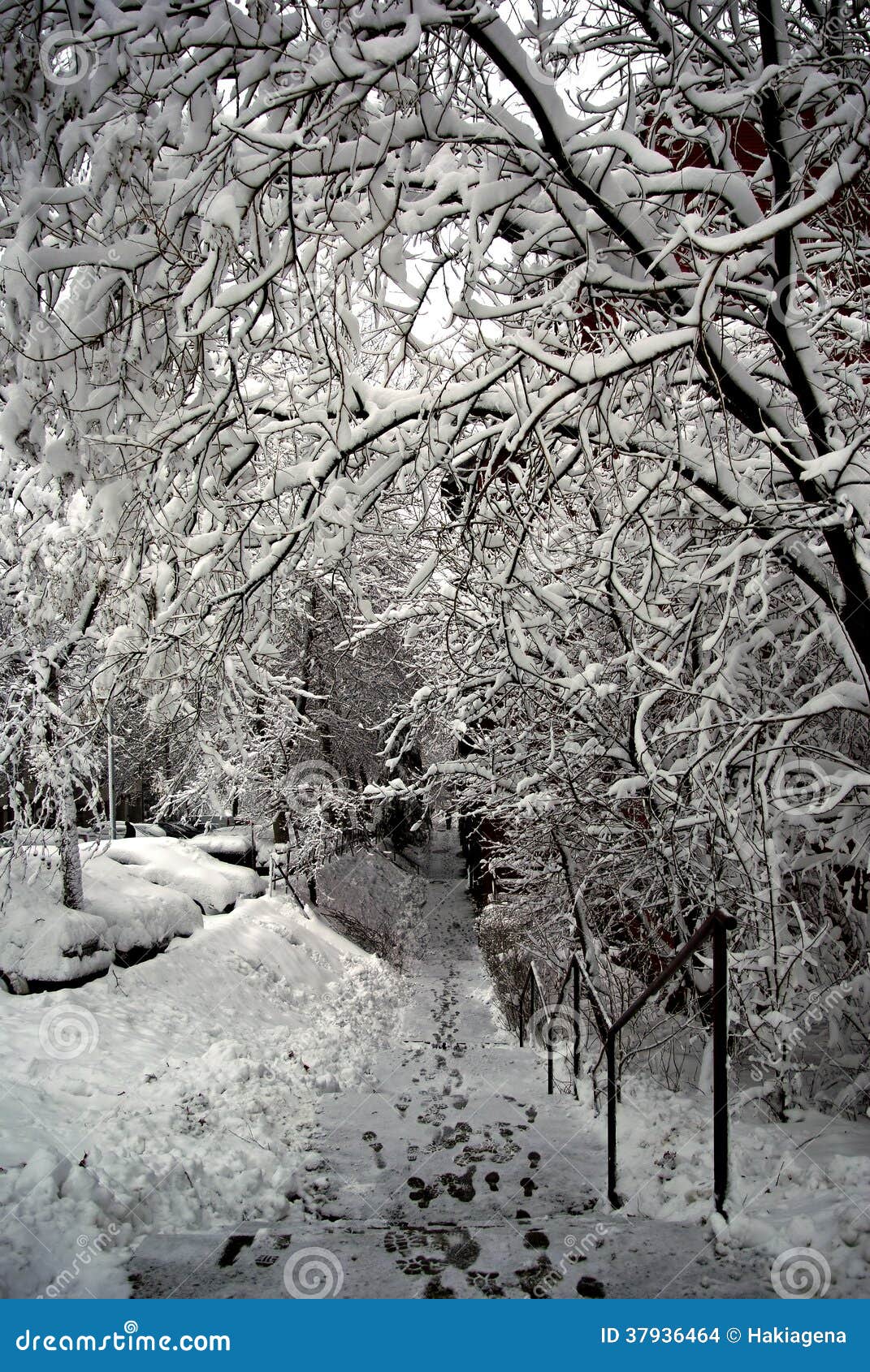 Urban Snow stock photo. Image of outdoors, christmas - 37936464