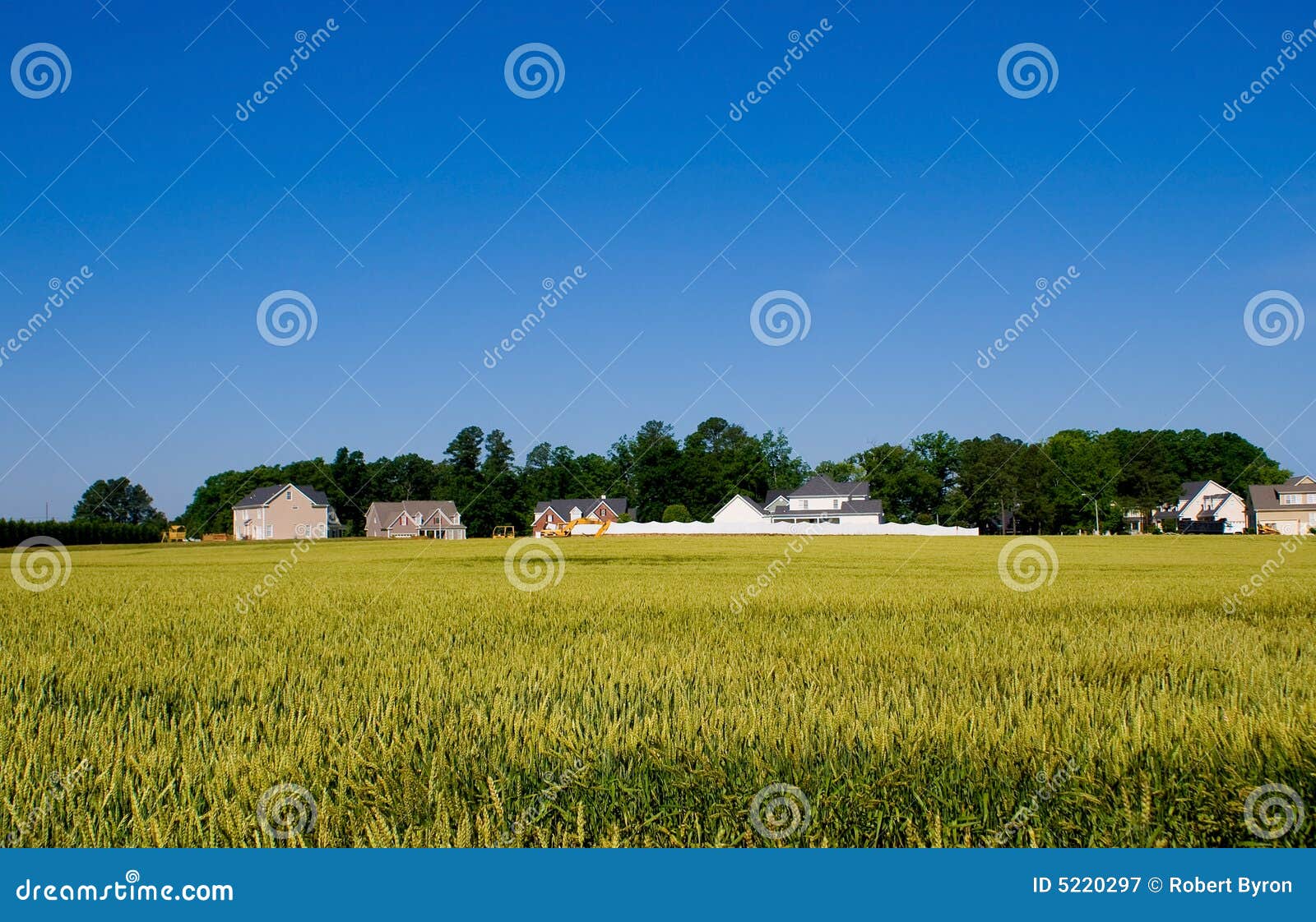 Urban Sprawl stock image. Image of field, growth, endangered - 5220297