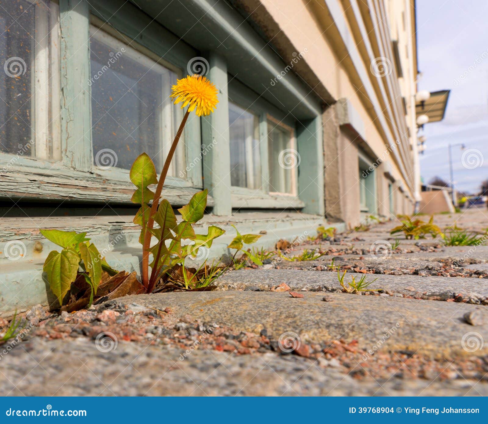 Urban spring stock photo. Image of sunshine, building - 39768904
