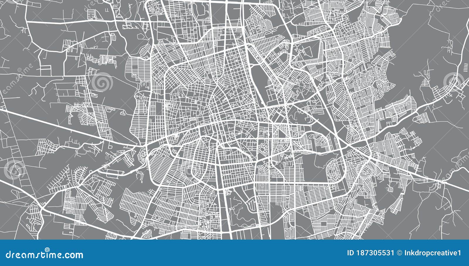 Urban Vector City Map of Aguascalientes, Mexico Stock Vector ...