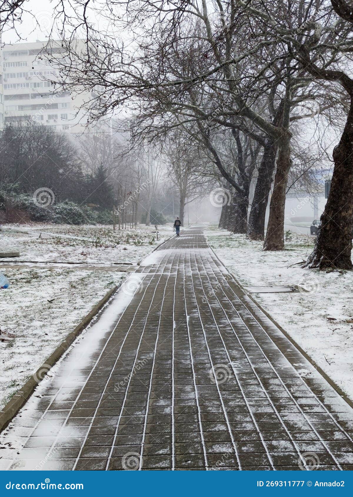 Urban Walking Path in Cloudy Winter Snowy Weather Stock Image - Image ...