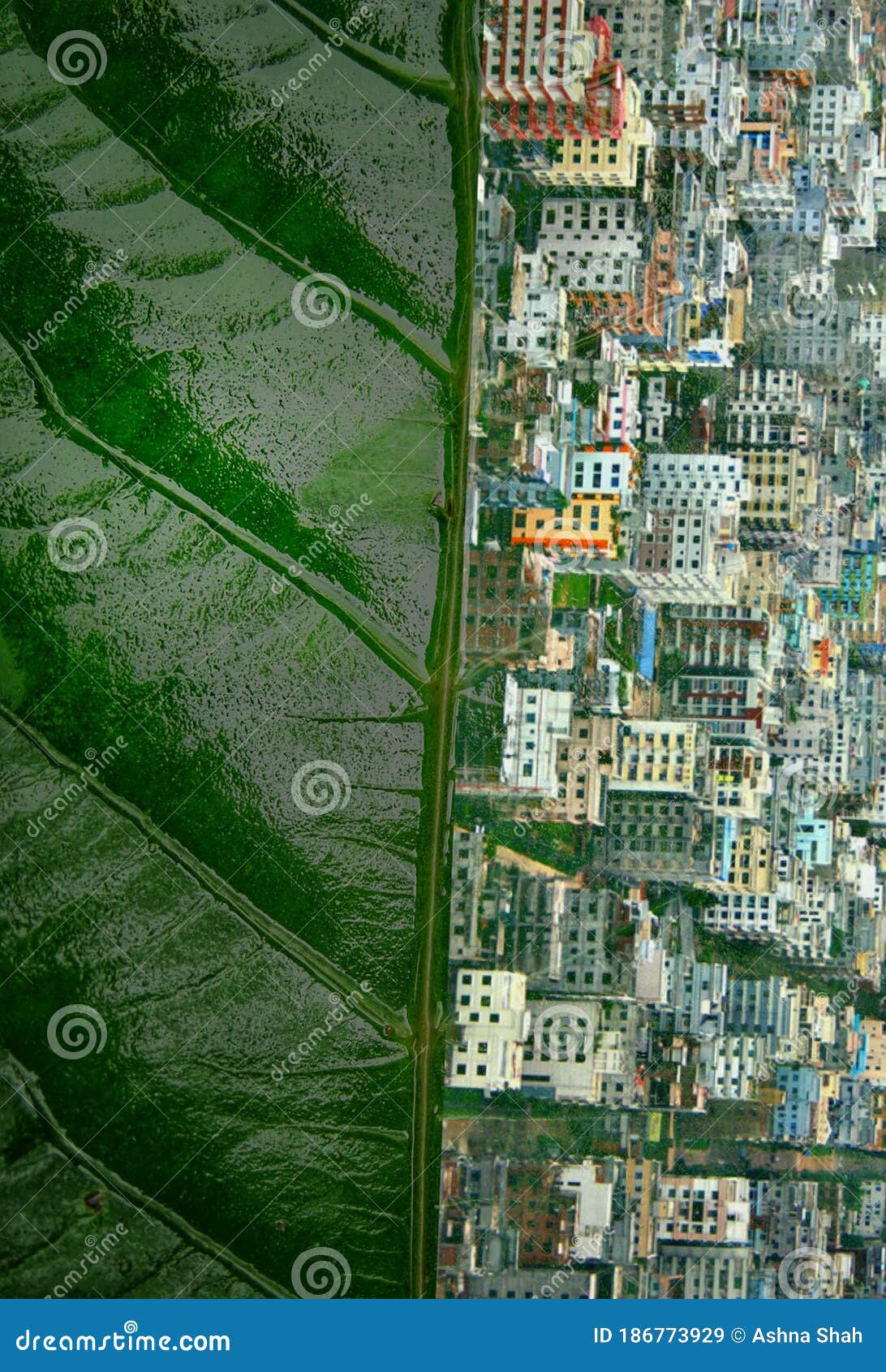 Urbanisation stock image. Image of greed, urbanisation - 186773929